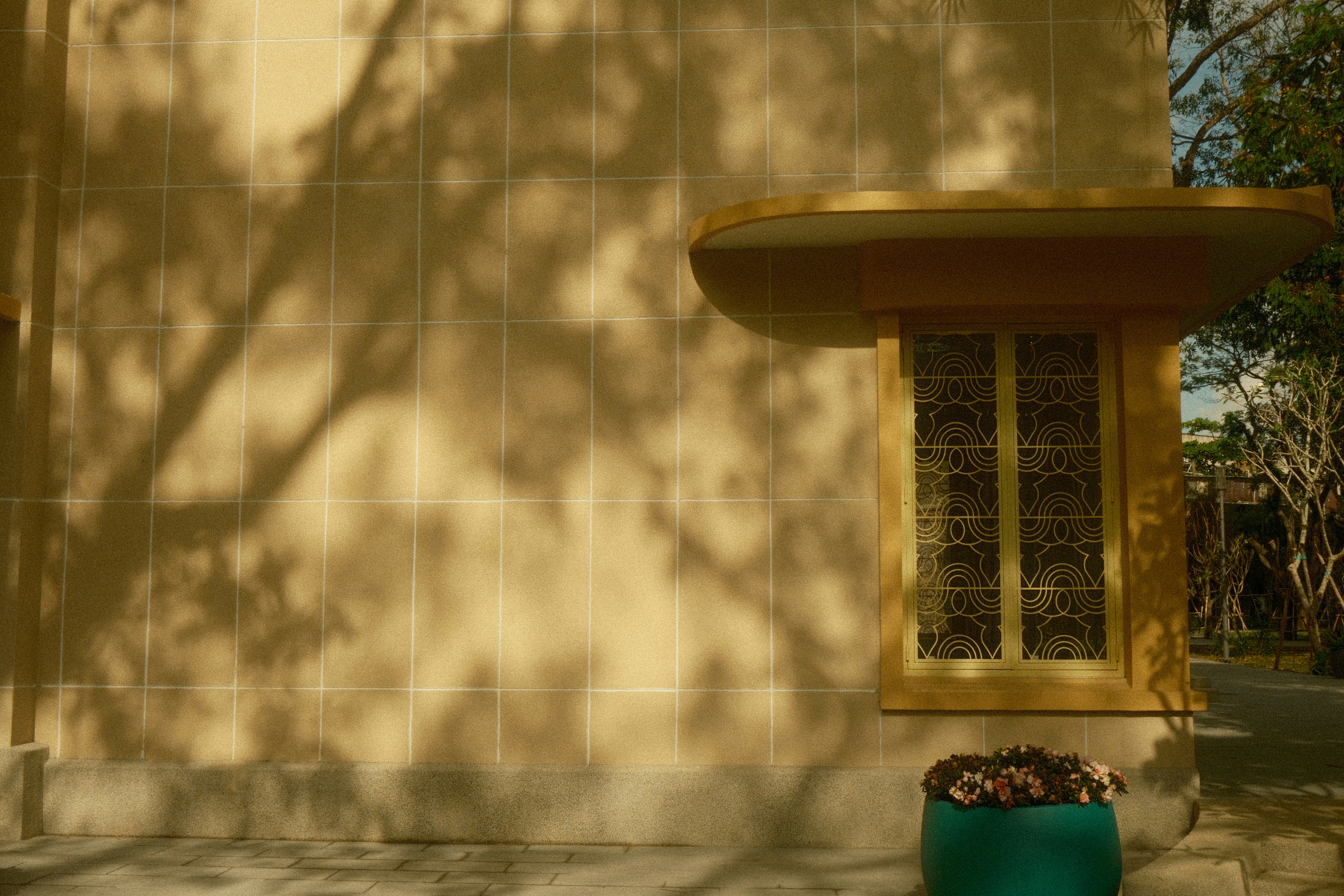 Soft Shadows on a Sunny Facade