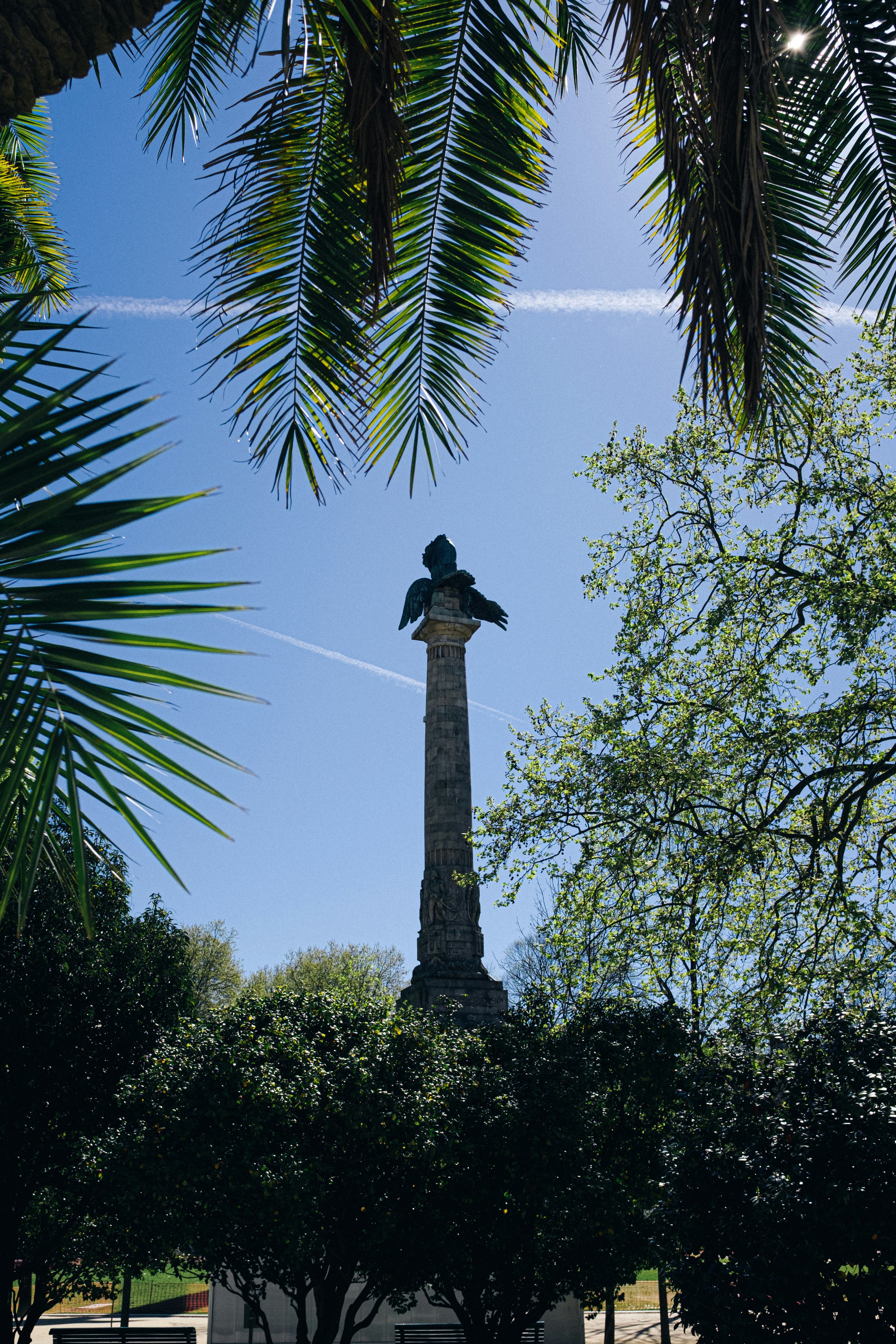 Celestial Guardian: a statue crowned by tropical canopy against a bright afternoon sky