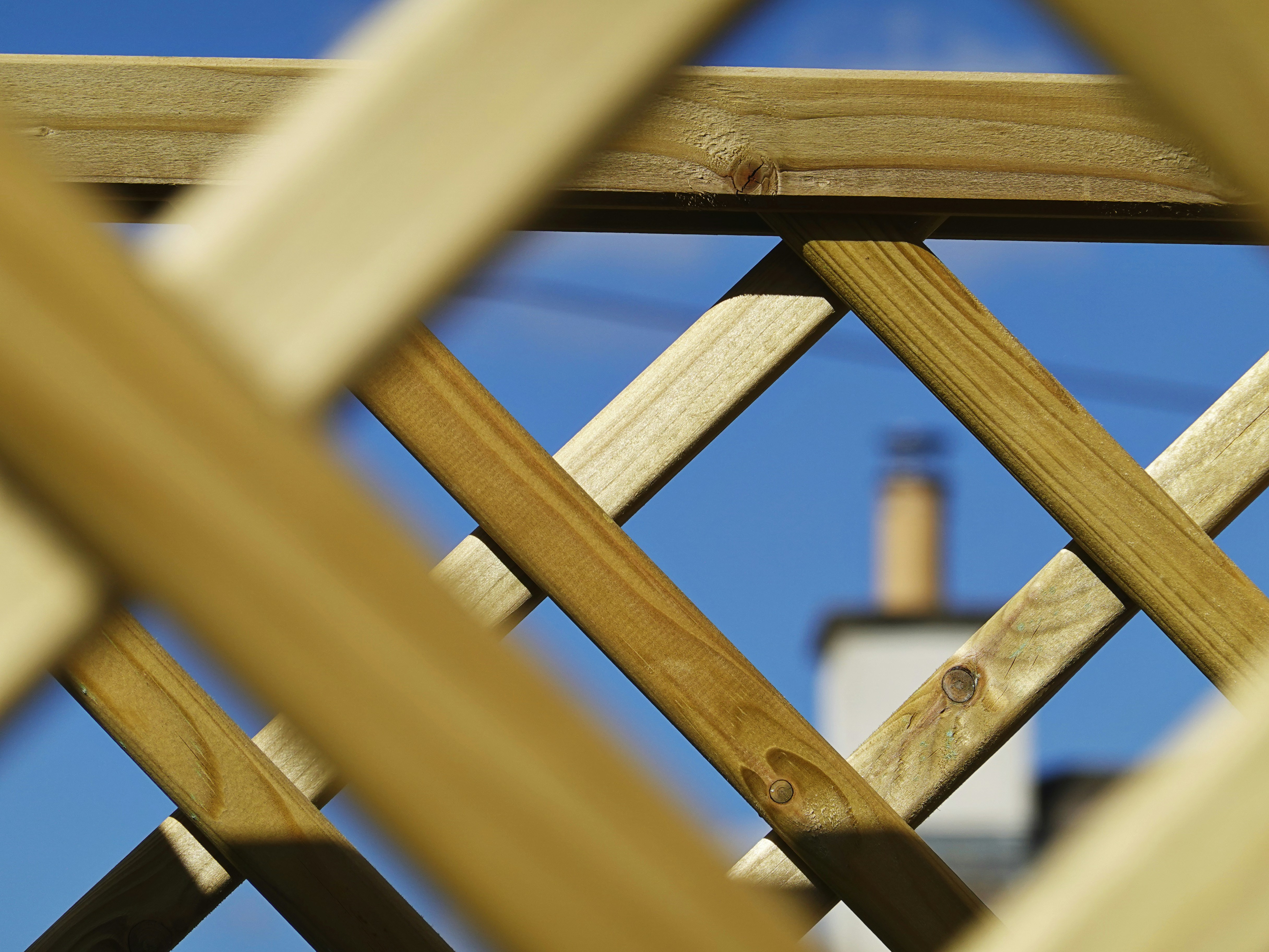 Lattice Threads: Sunlit Wood Framing Through a Bloom of Gaps
