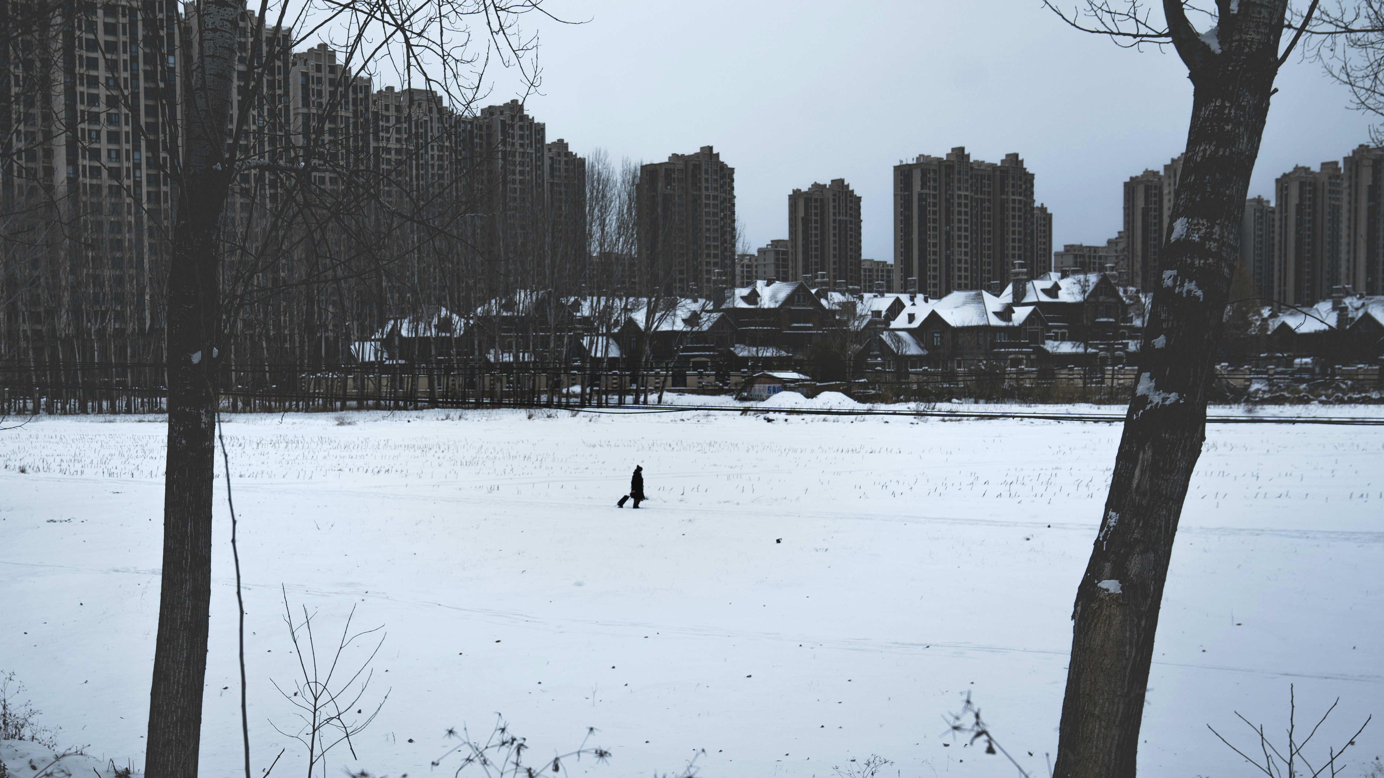  solitary figure skating across a snow‑blanketed lake under distant city silhouettes