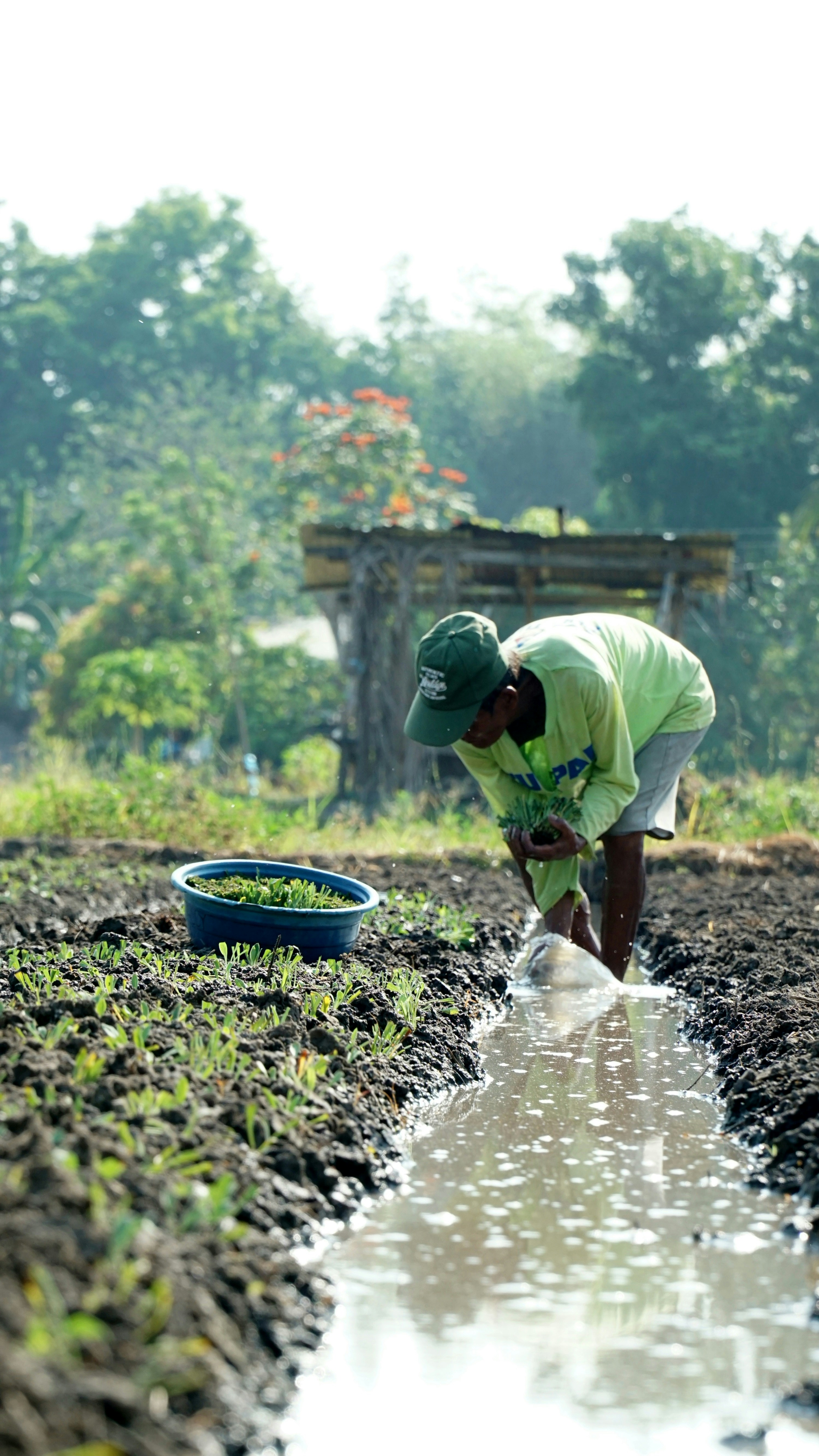 Steps to Life: A Farmhand Tends a Narrow Channel