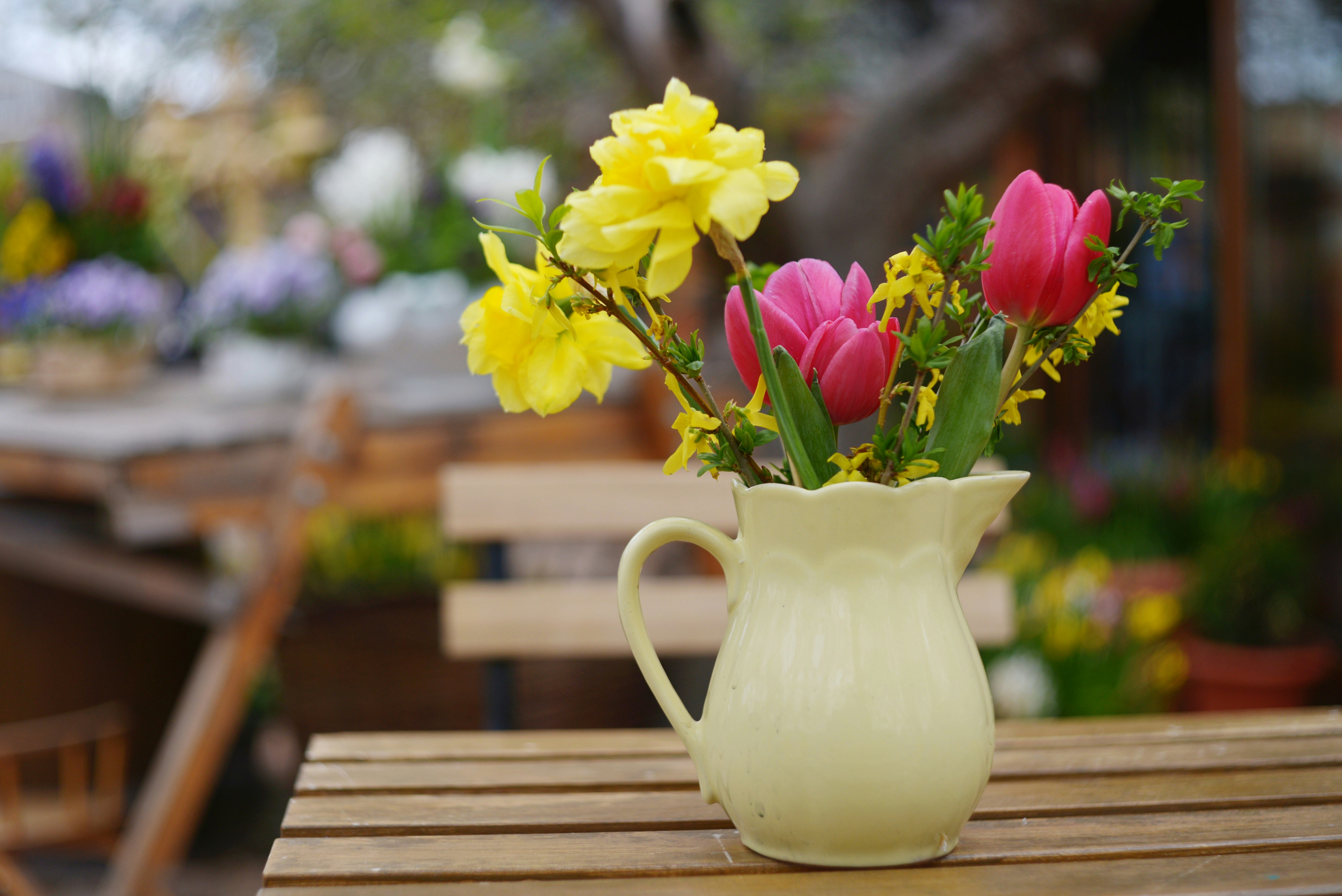 Yellow blossoms in cream pitcher anchor a sunlit garden still life