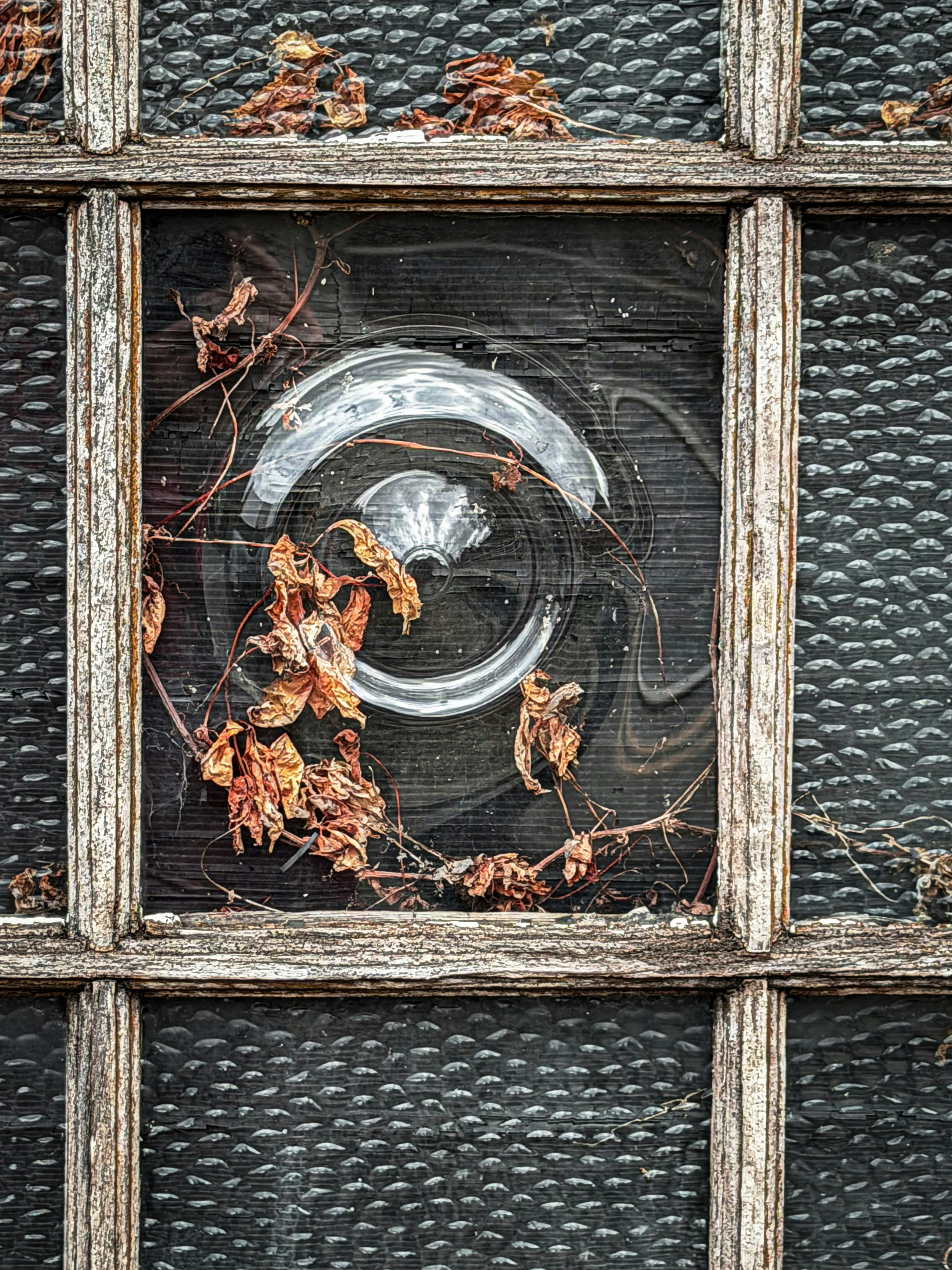Coiled Glass in a Weathered Window Grid