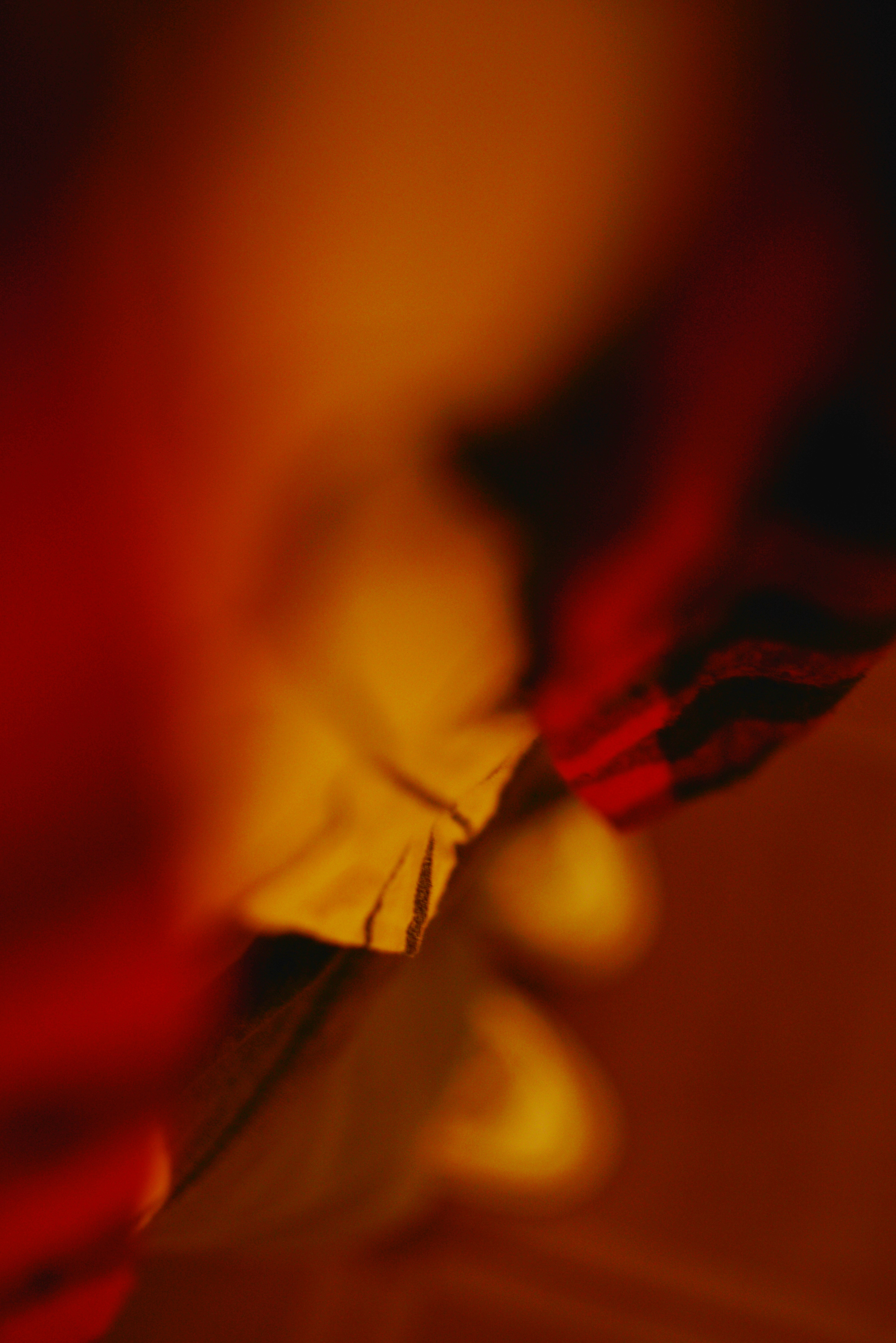Hushed Ember: A Blur of Warm Fibers and Shadow