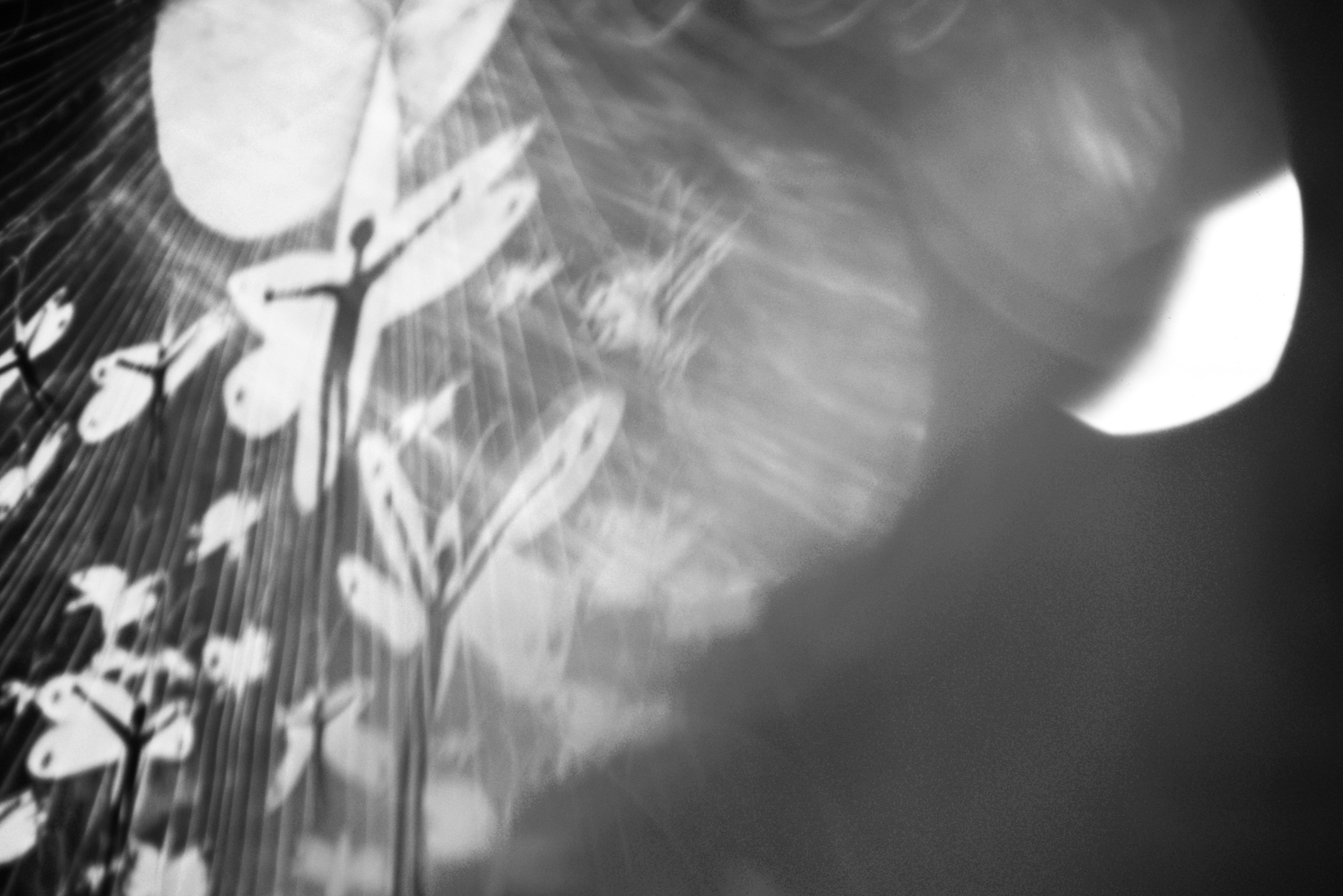Emergent Flora in Soft Focus Neon Night