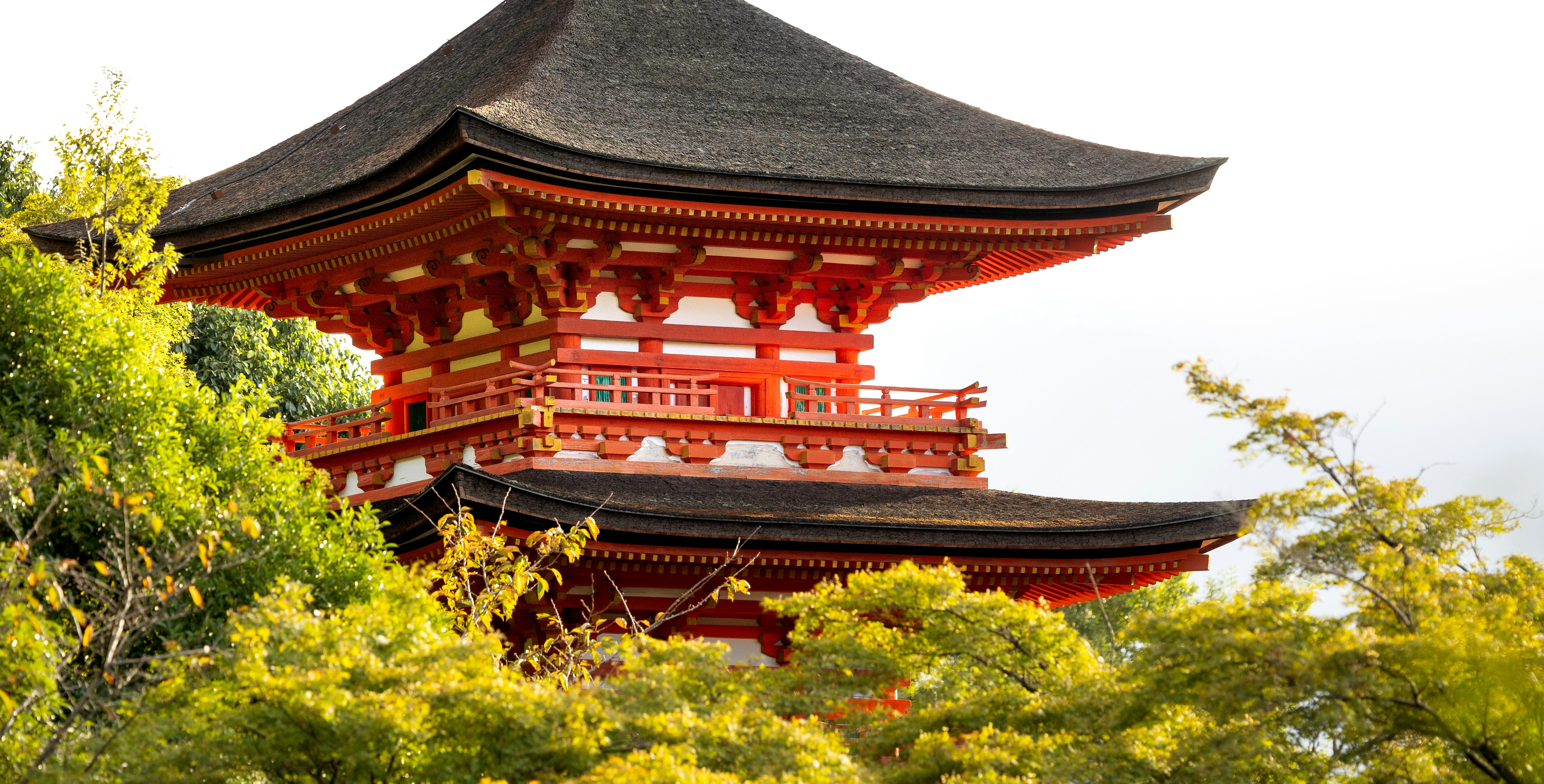 Crimson Pagoda Rising Beyond Golden Foliage