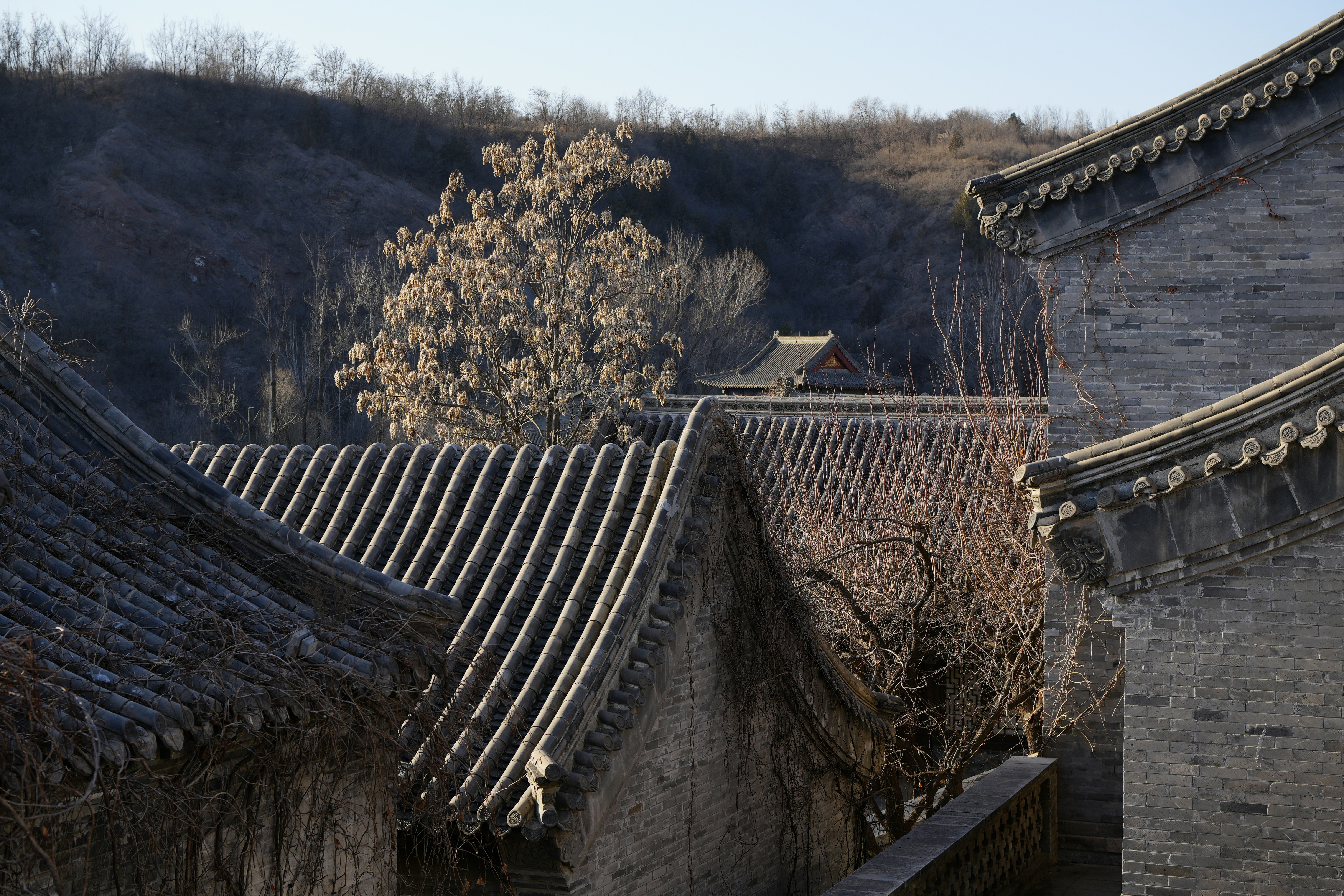 Terraced Rooflines and Quiet Courtyard in a Historic Compound