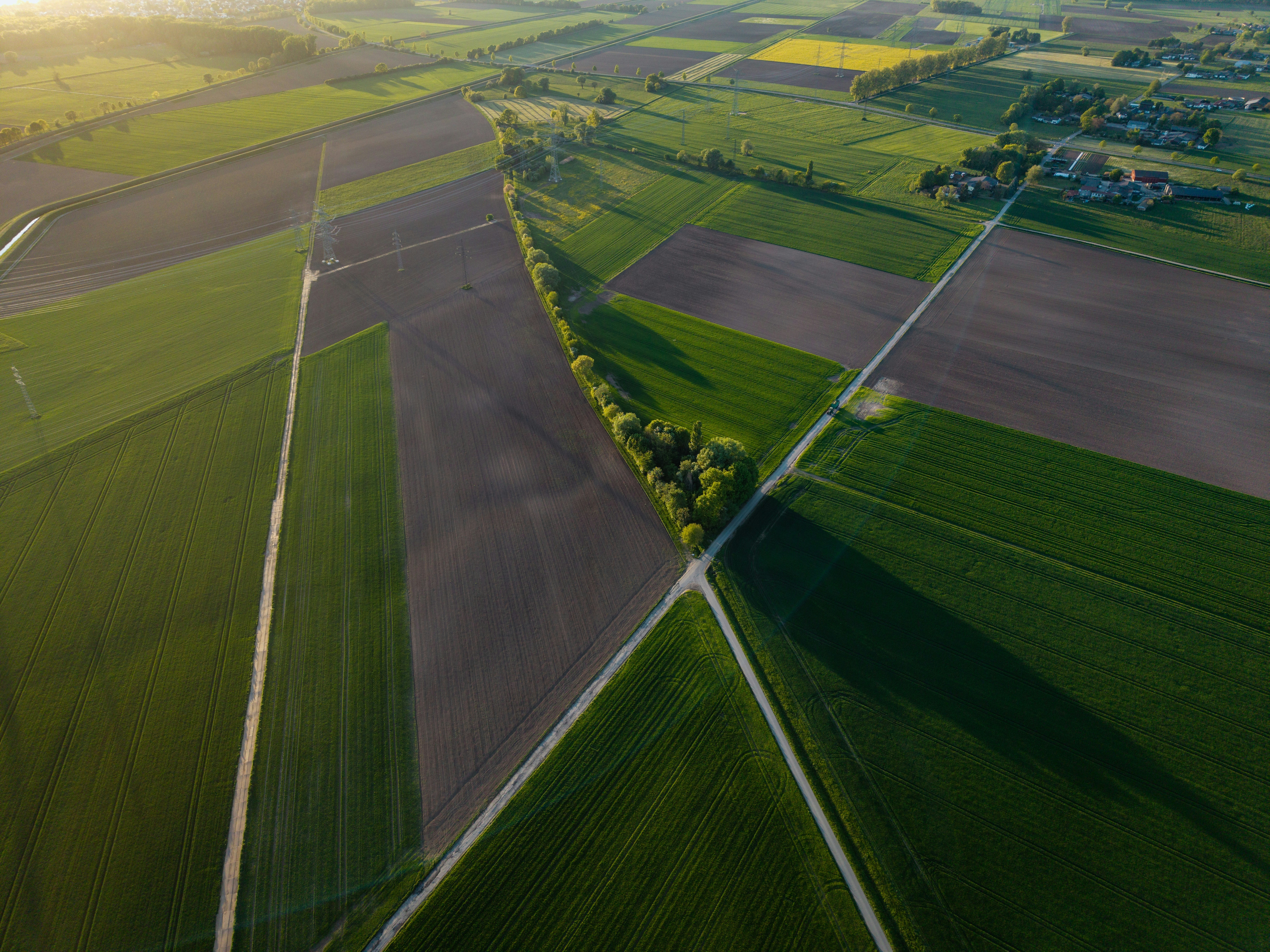 Crossroads of Fields: Aerial Grid Beneath the Sunlit Horizon