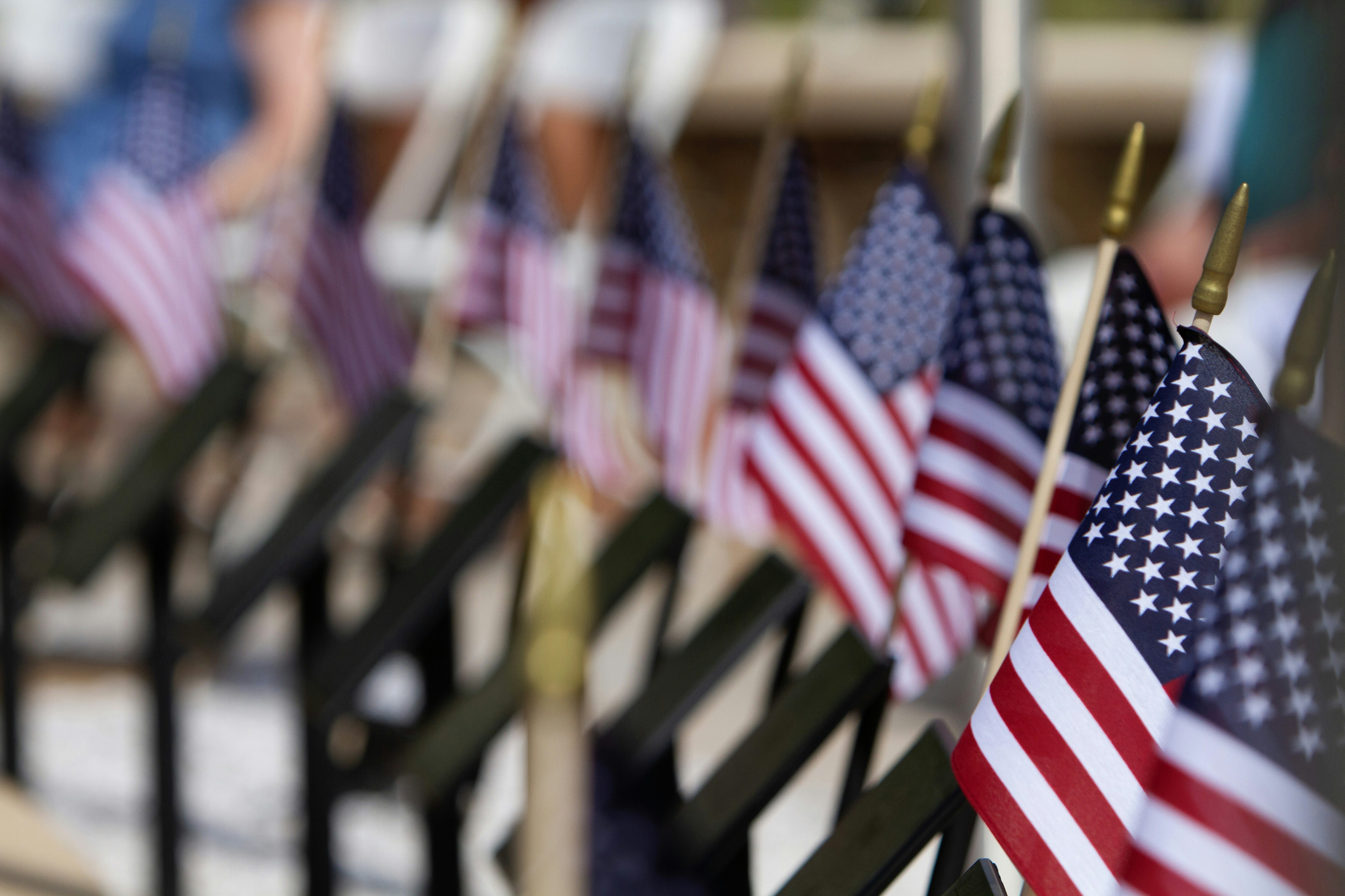 Row of Honor: A Field of Small Flags in Focus