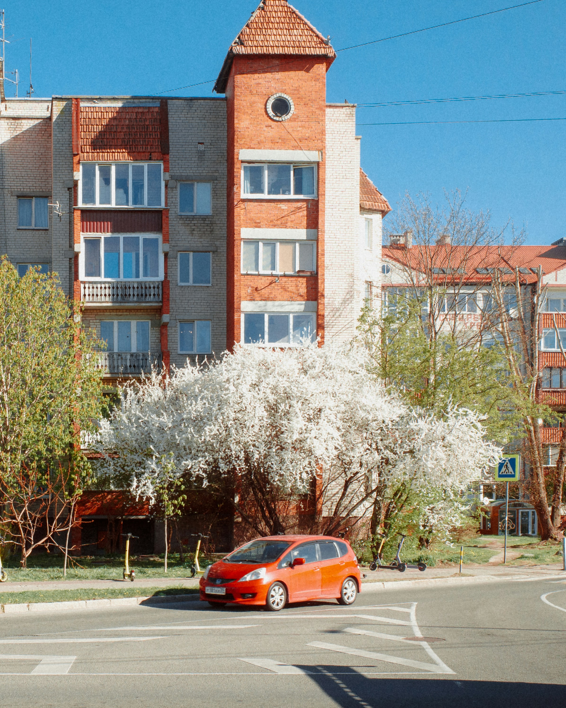 Spring Blossom under a Brick-Crested Building