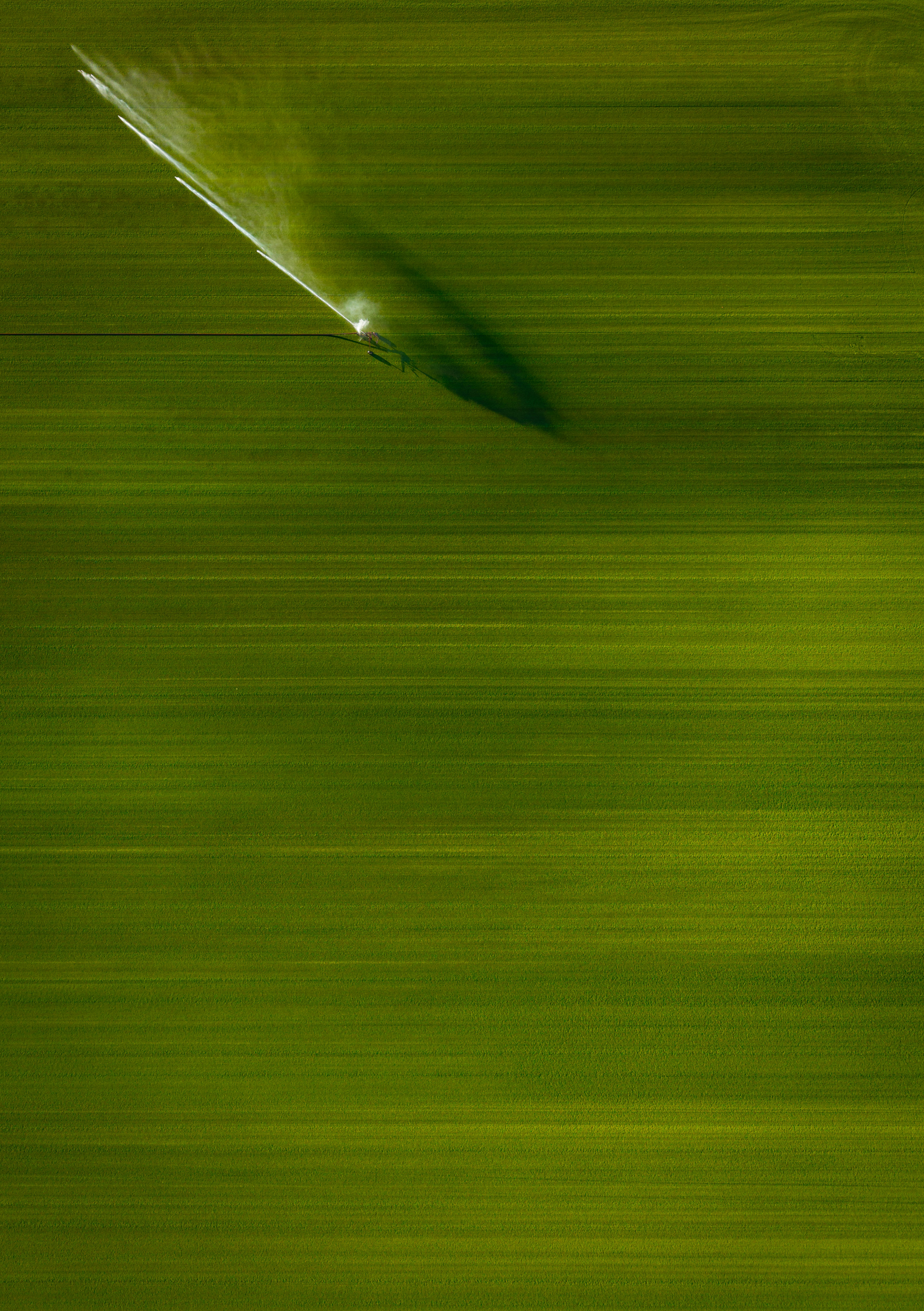 Solitary Sprinkler: Aerial Trail of Green Lines