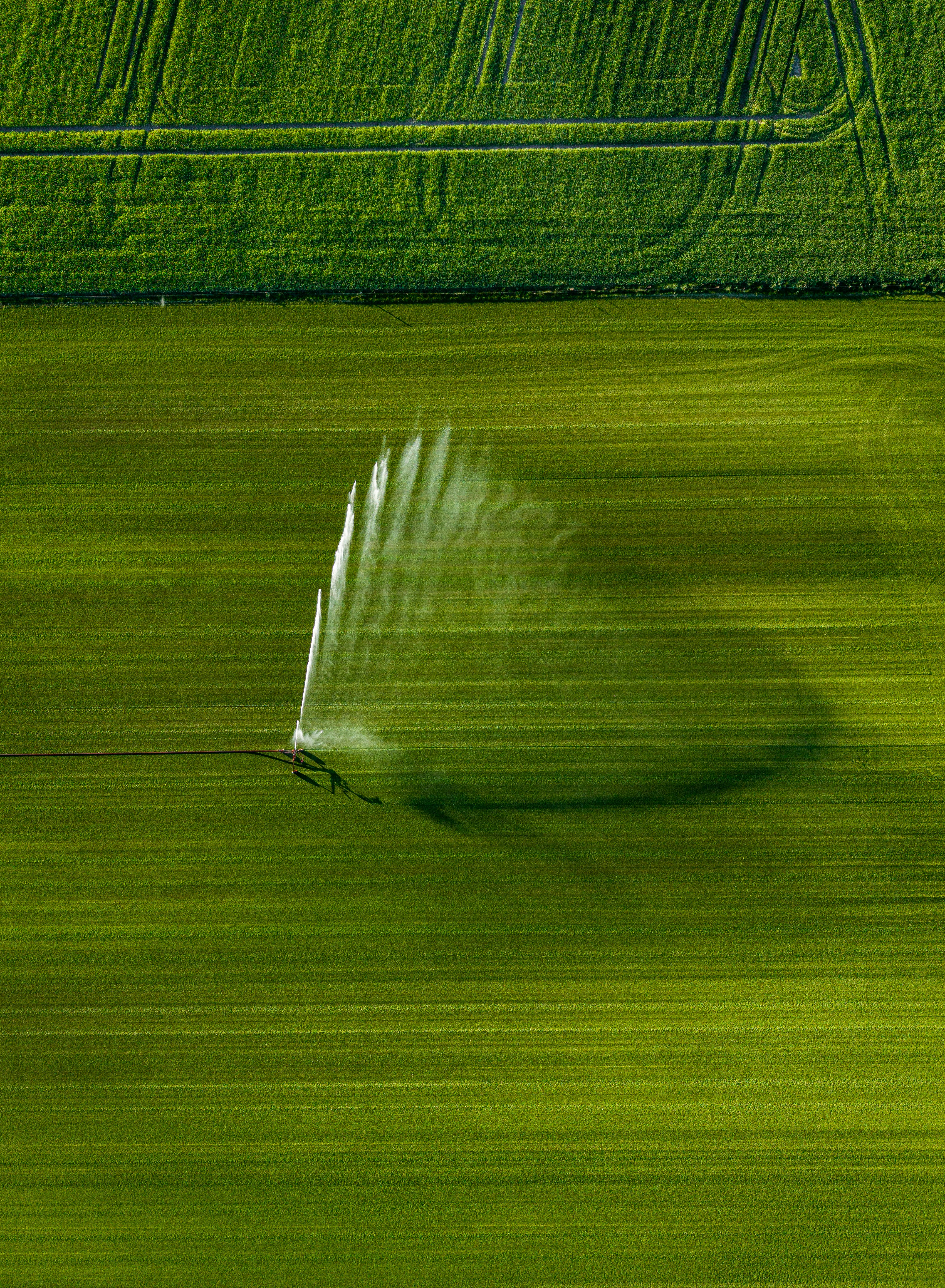 Green Arc: A Field Spray in Motion
