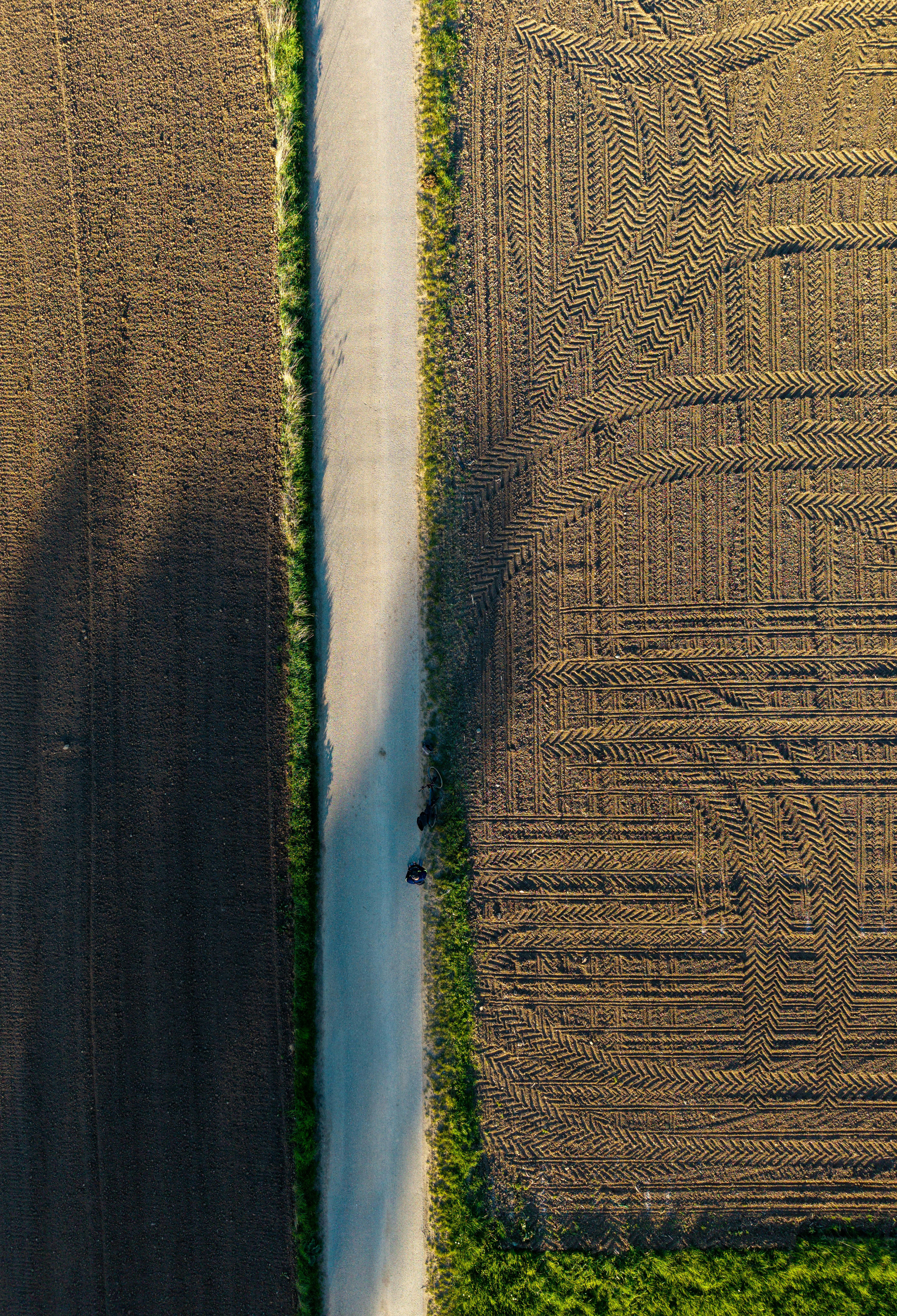 A Split Field: Road Cutting Through Tilled Terrains