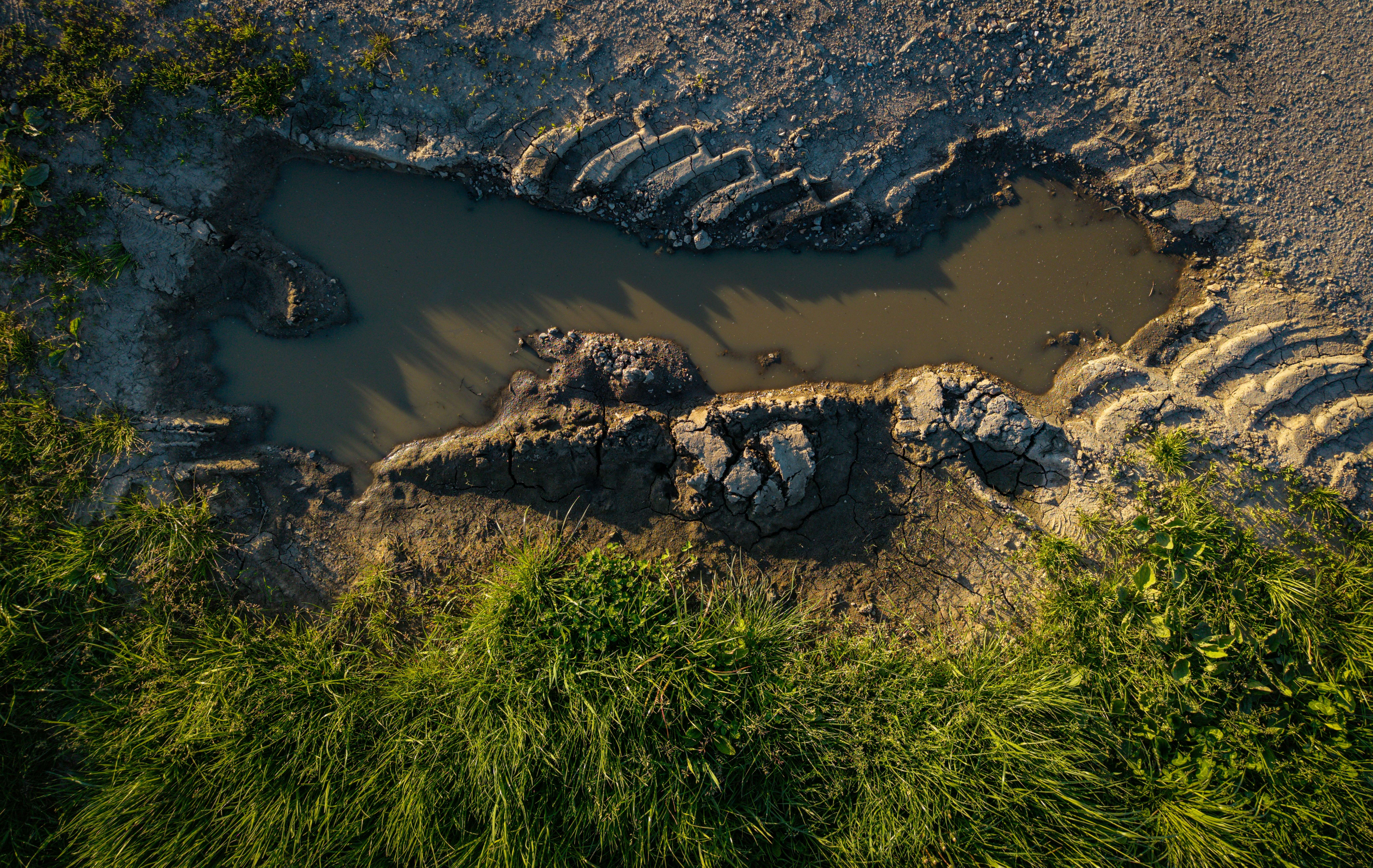 Muddy riverbed carved by retreating water, edged by tropical grasses