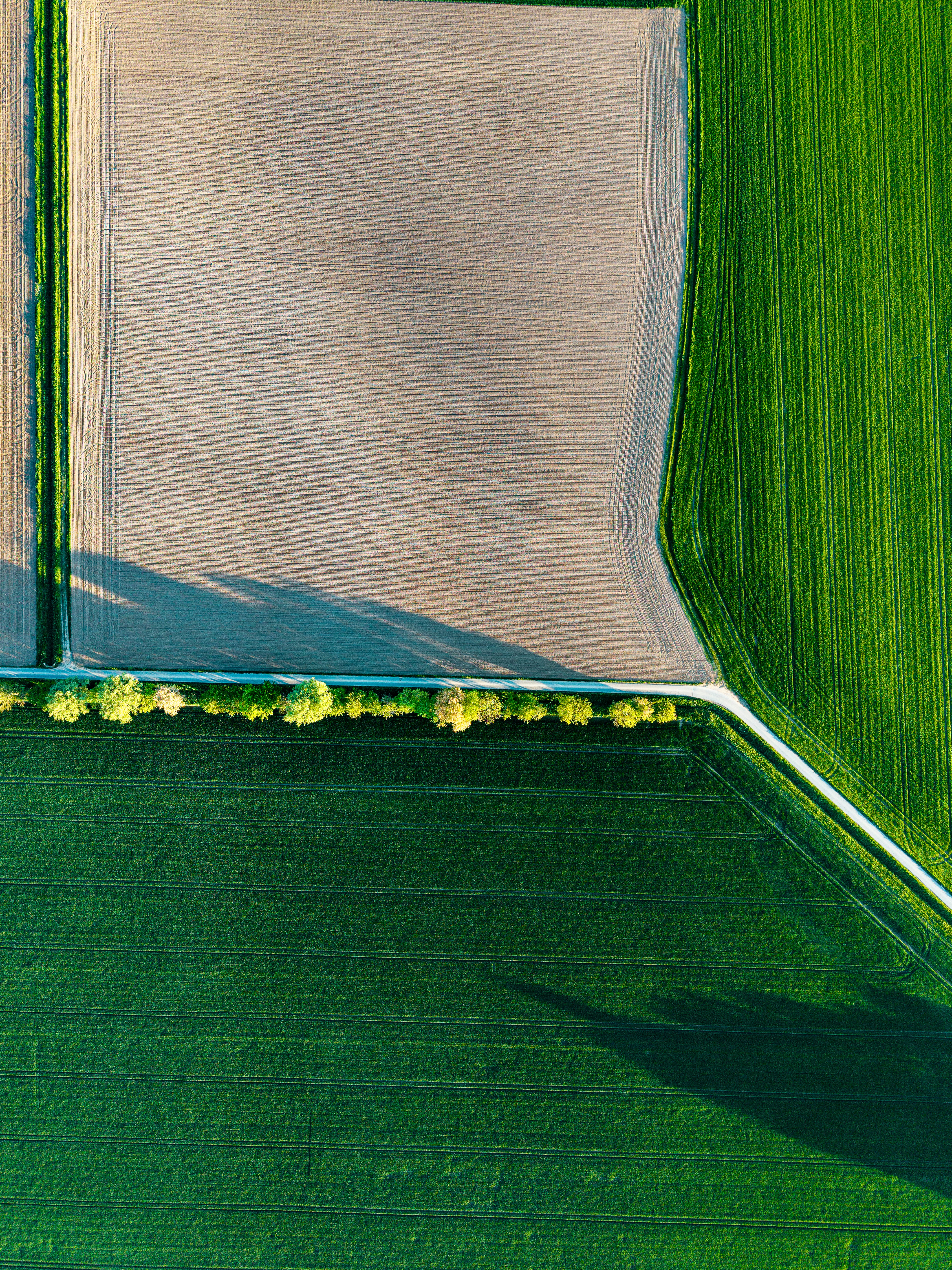 Shadowed Field Edge: Aerial Gyre Over Farmland Geometry