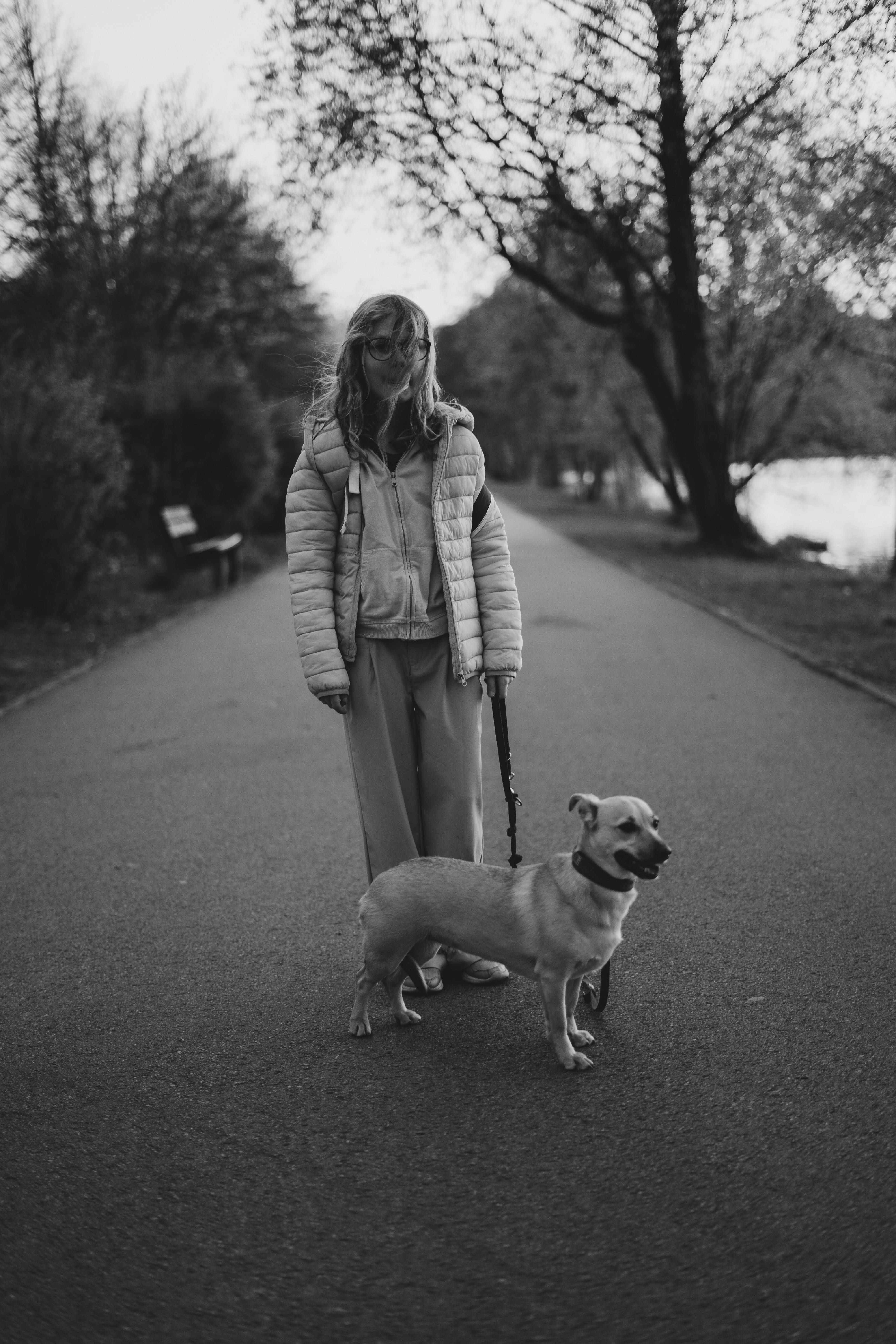 Lone jogger and dog on a misty park path