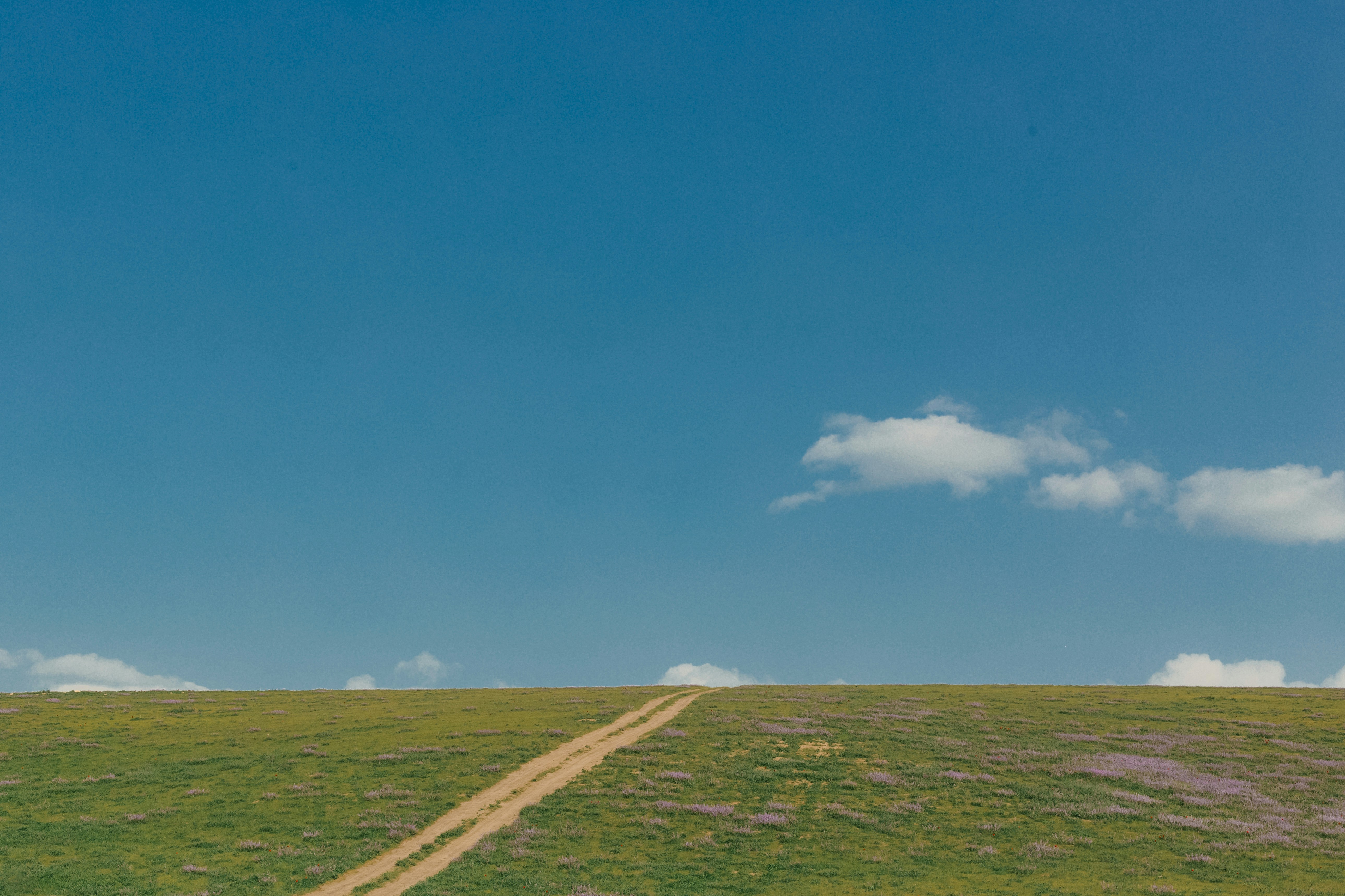 Trailing Dune: A Silent Path Across the Open Slope