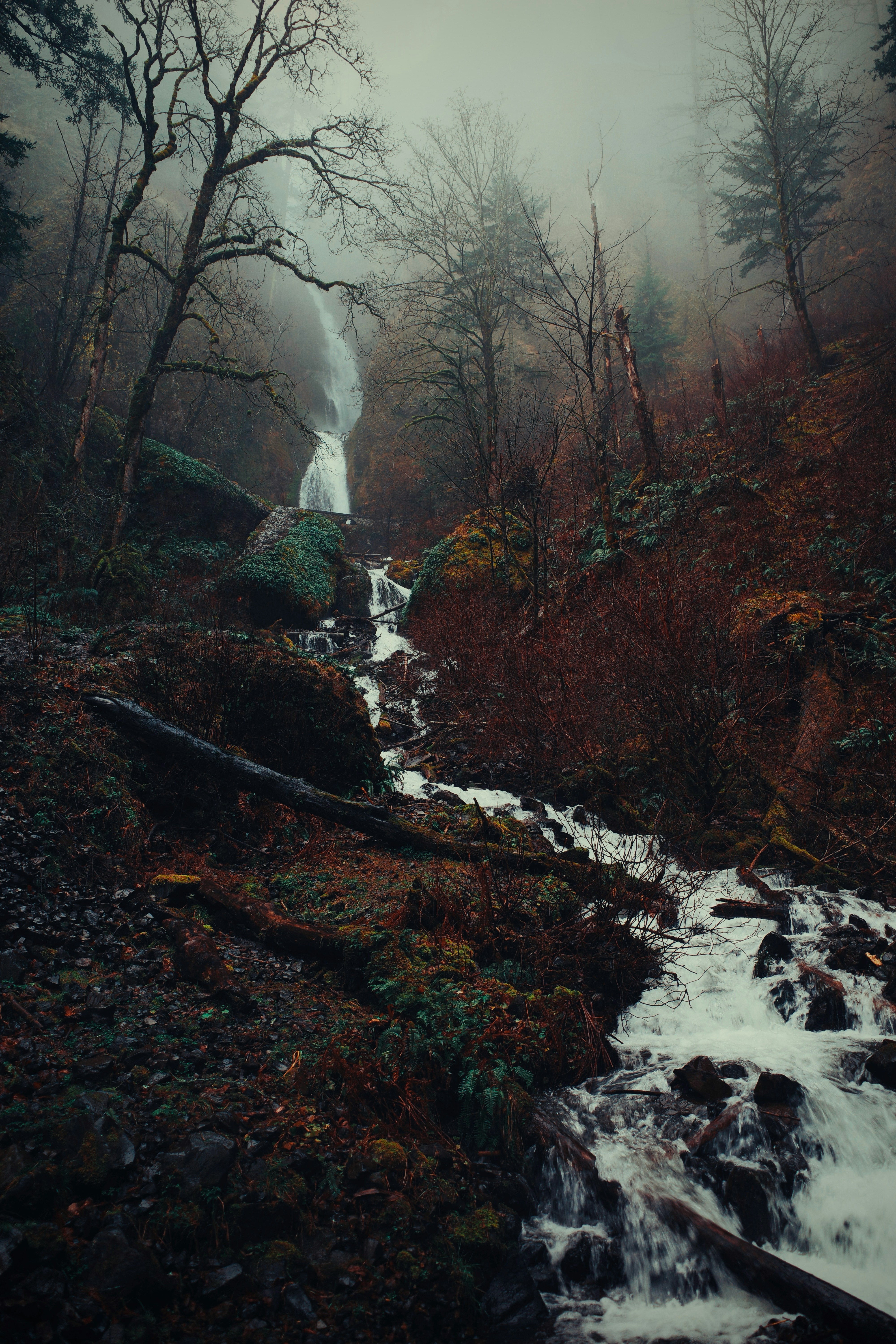 Verdant Mist: A Cascading Creek Through a Twilight Forest