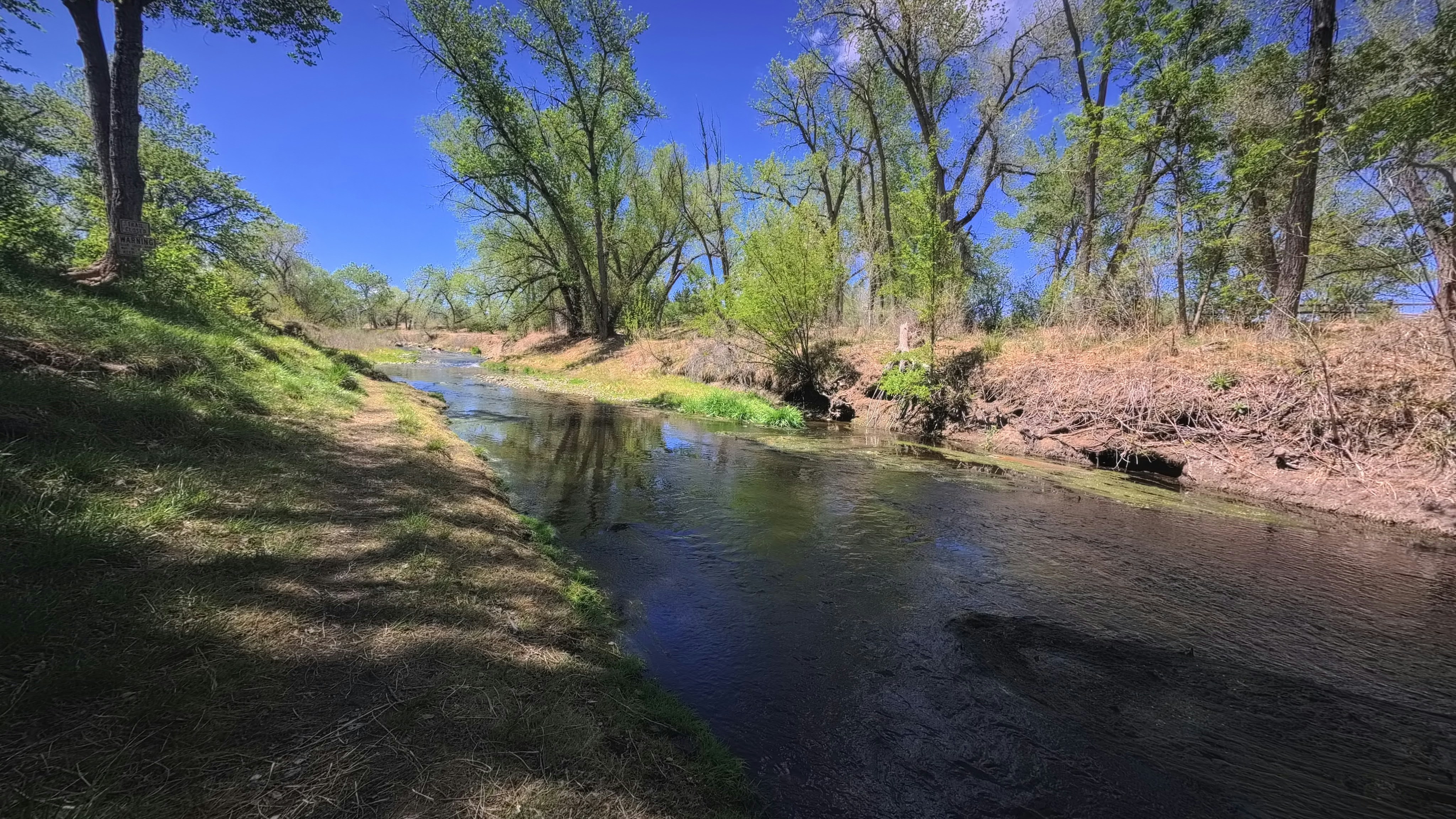 Sunlit River Bend: A Quiet Channel Amid Green and Blue