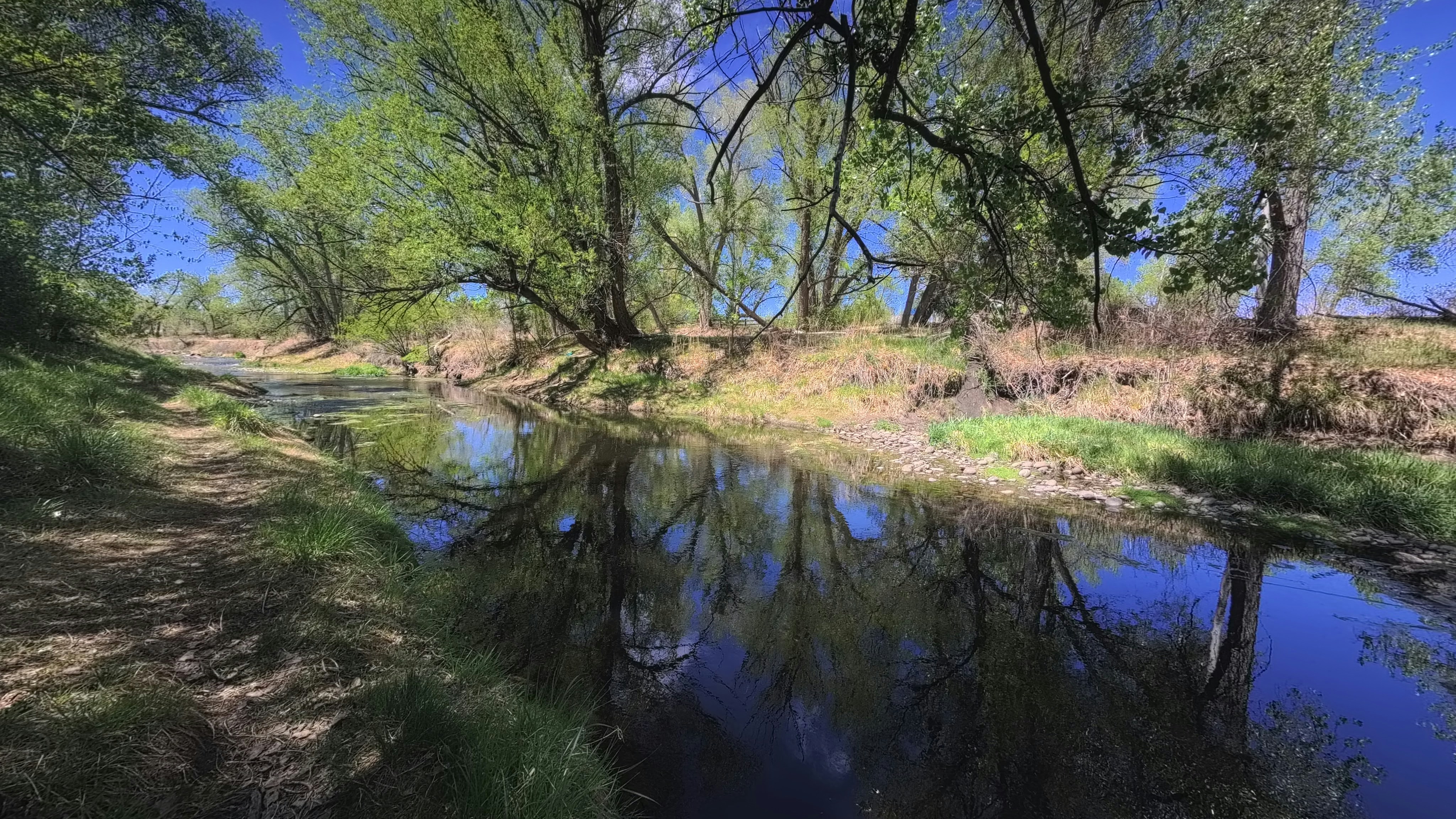 Mirror River: Sunlit Bend Reflections in a Quiet Brook