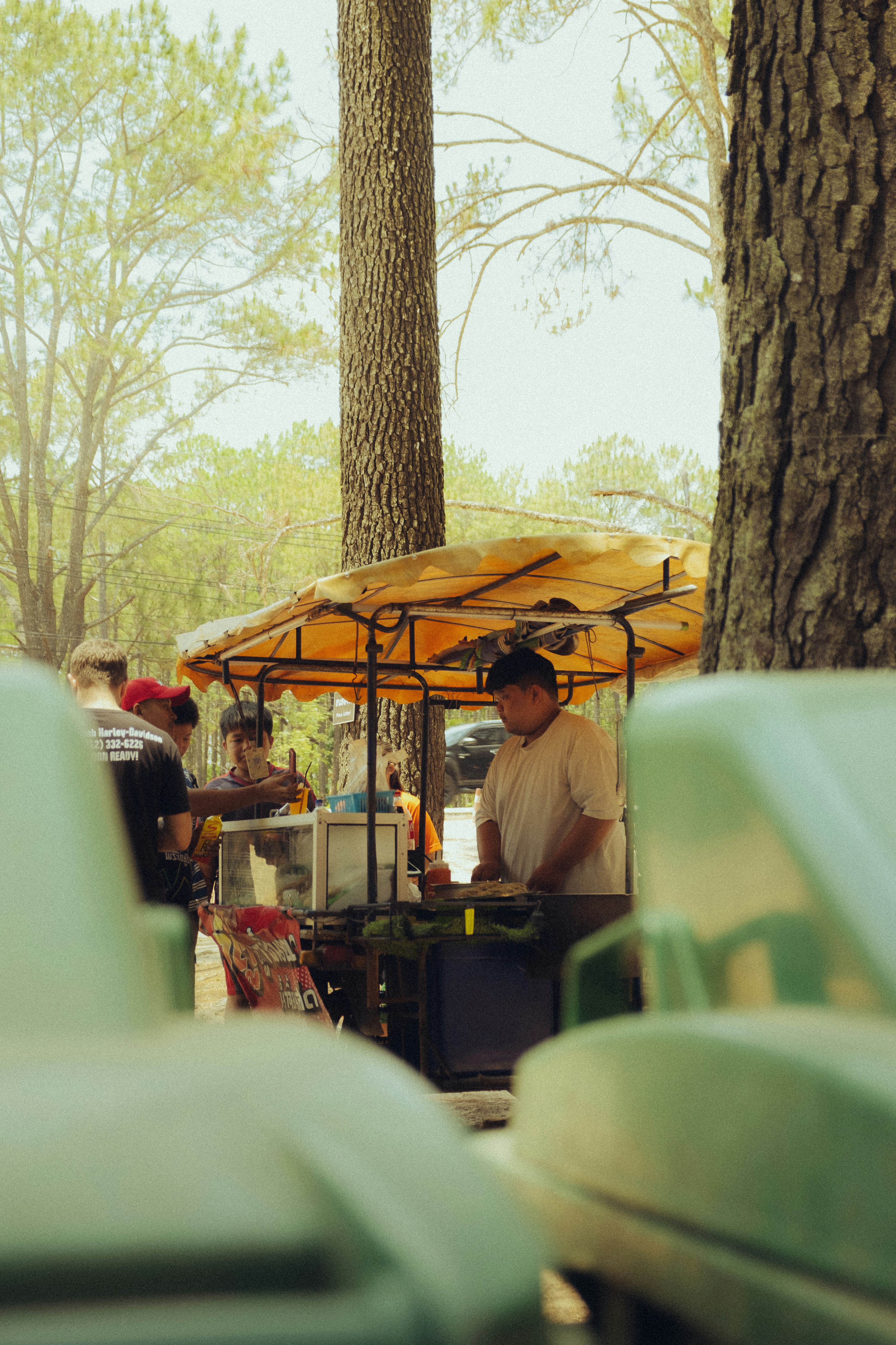 Market Cart Portrait in Dappled Light