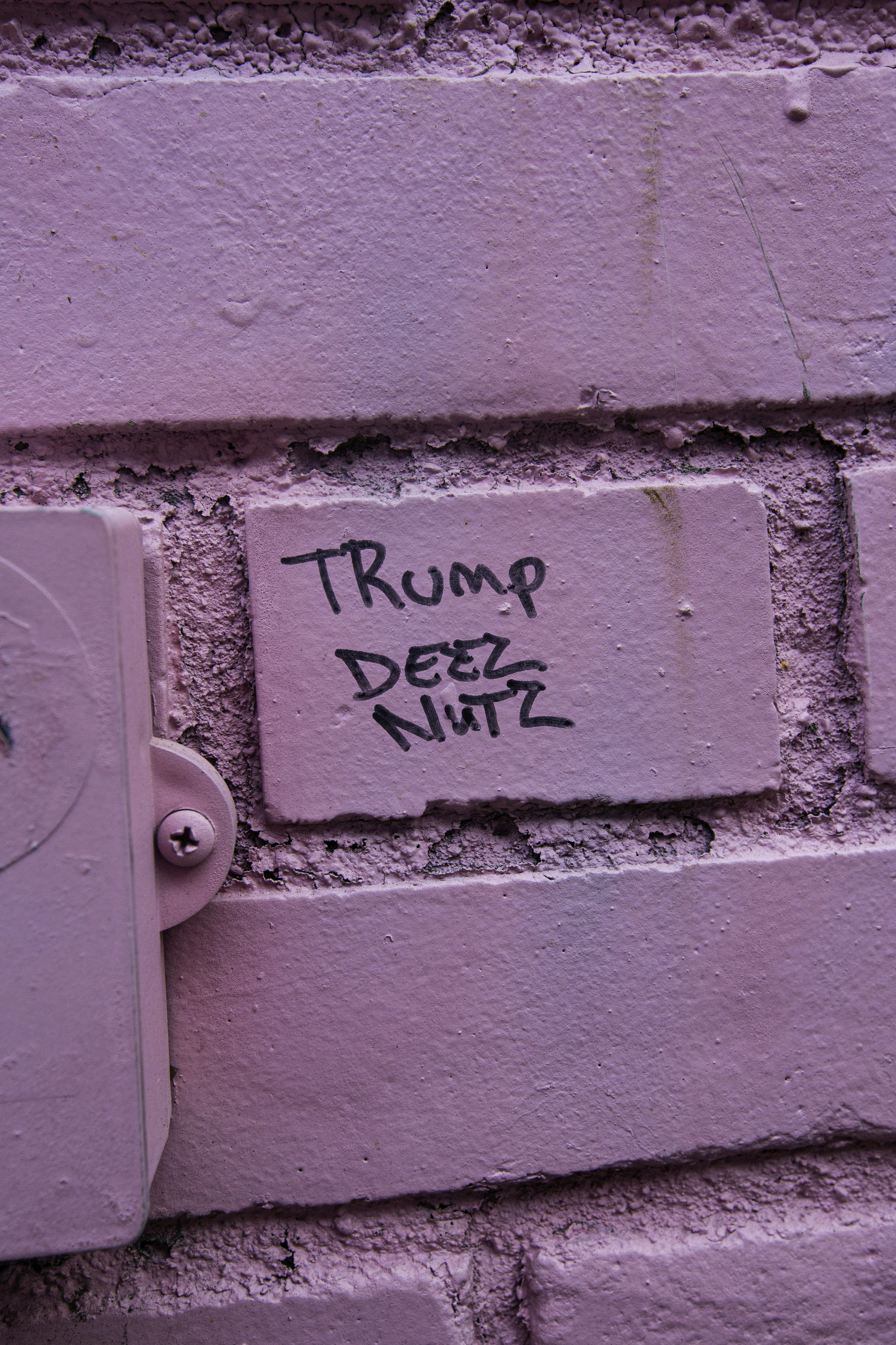 Pink Brick Wall Message: Trump DeeZ Nitz