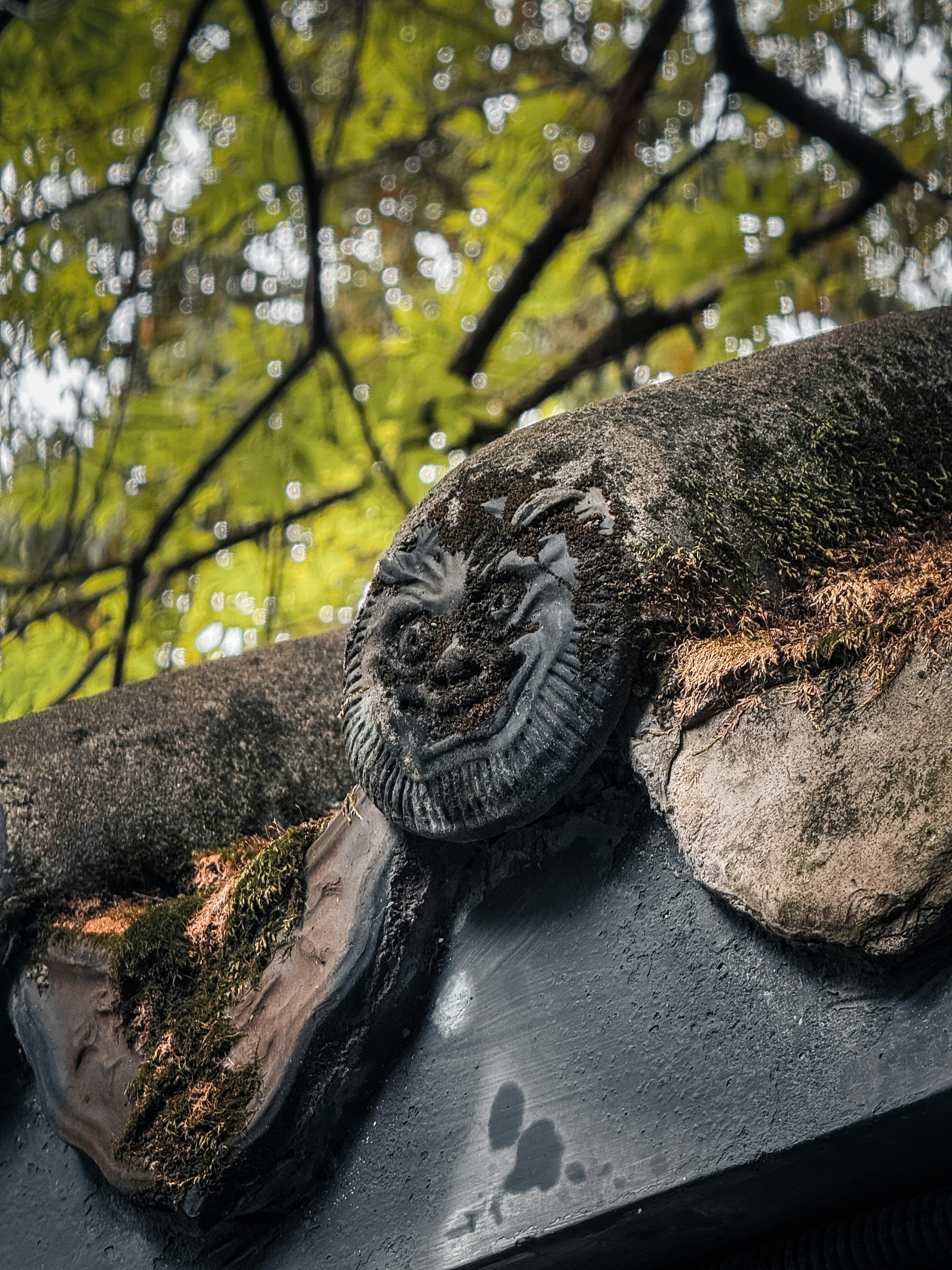 Weathered Crest: A carved emblem on a mossy roof