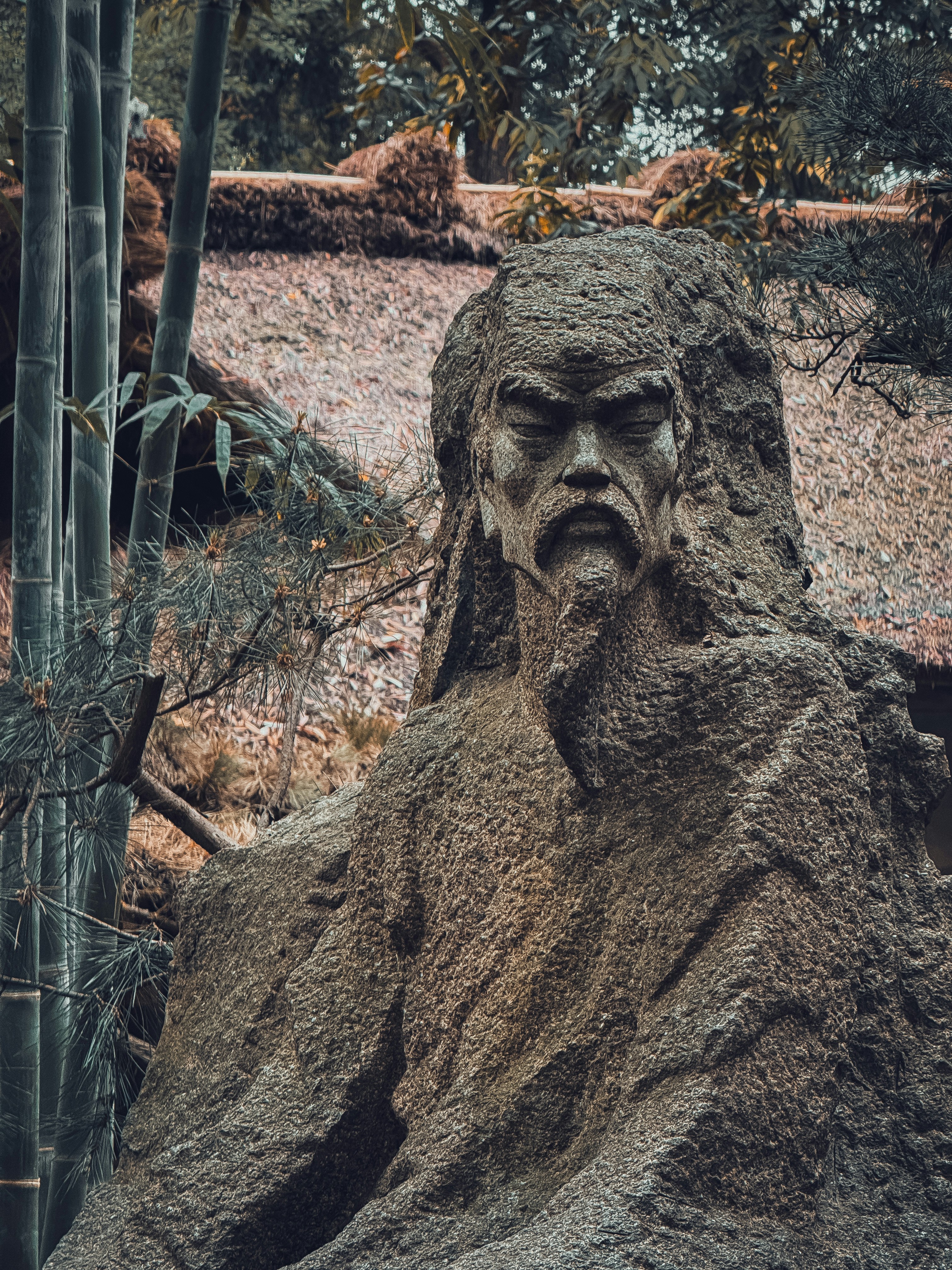 Stone Sage: A Weathered Guardian Emerges in the Garden