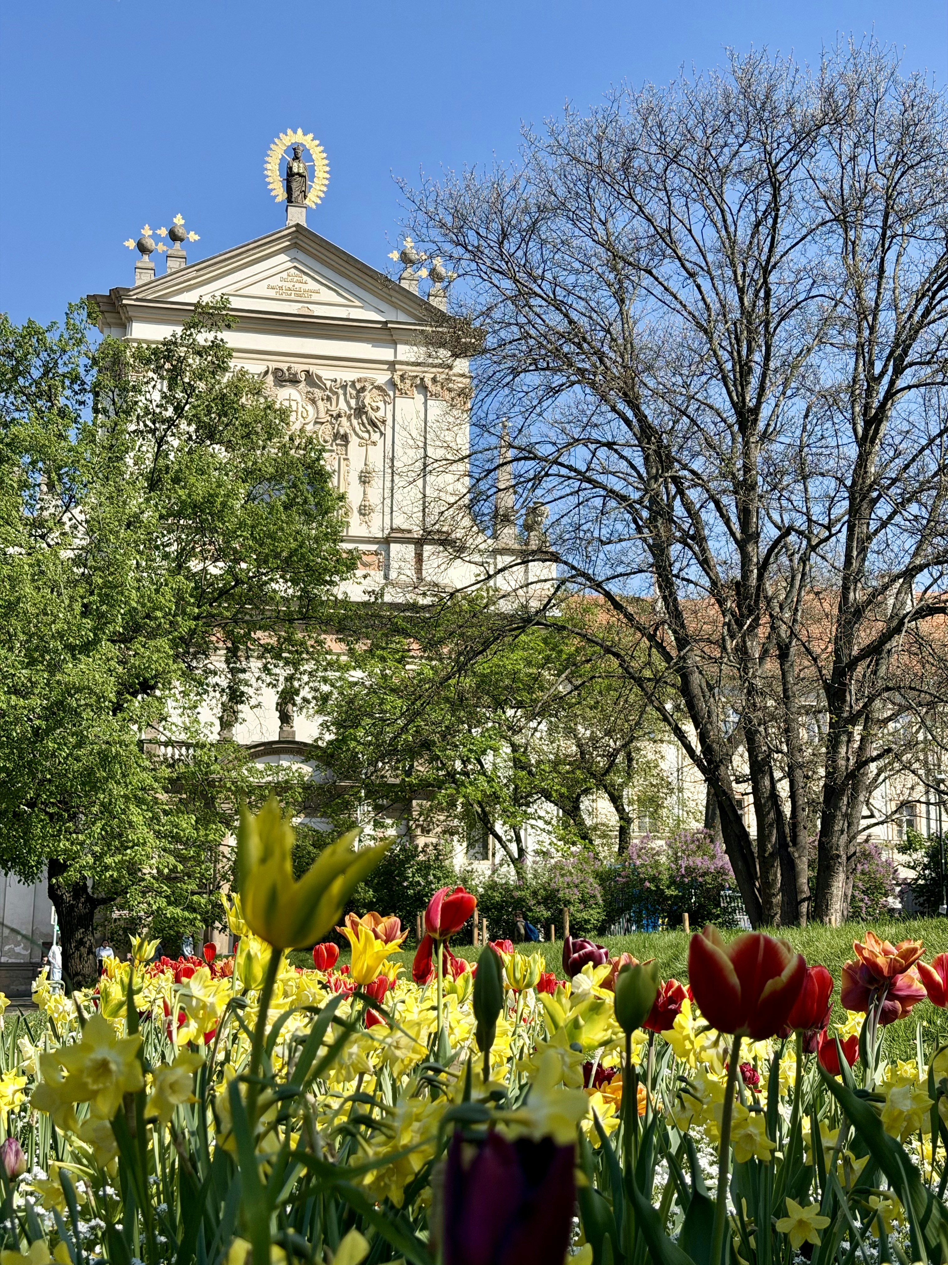 Blooming foreground, historic facade beneath a blue sky