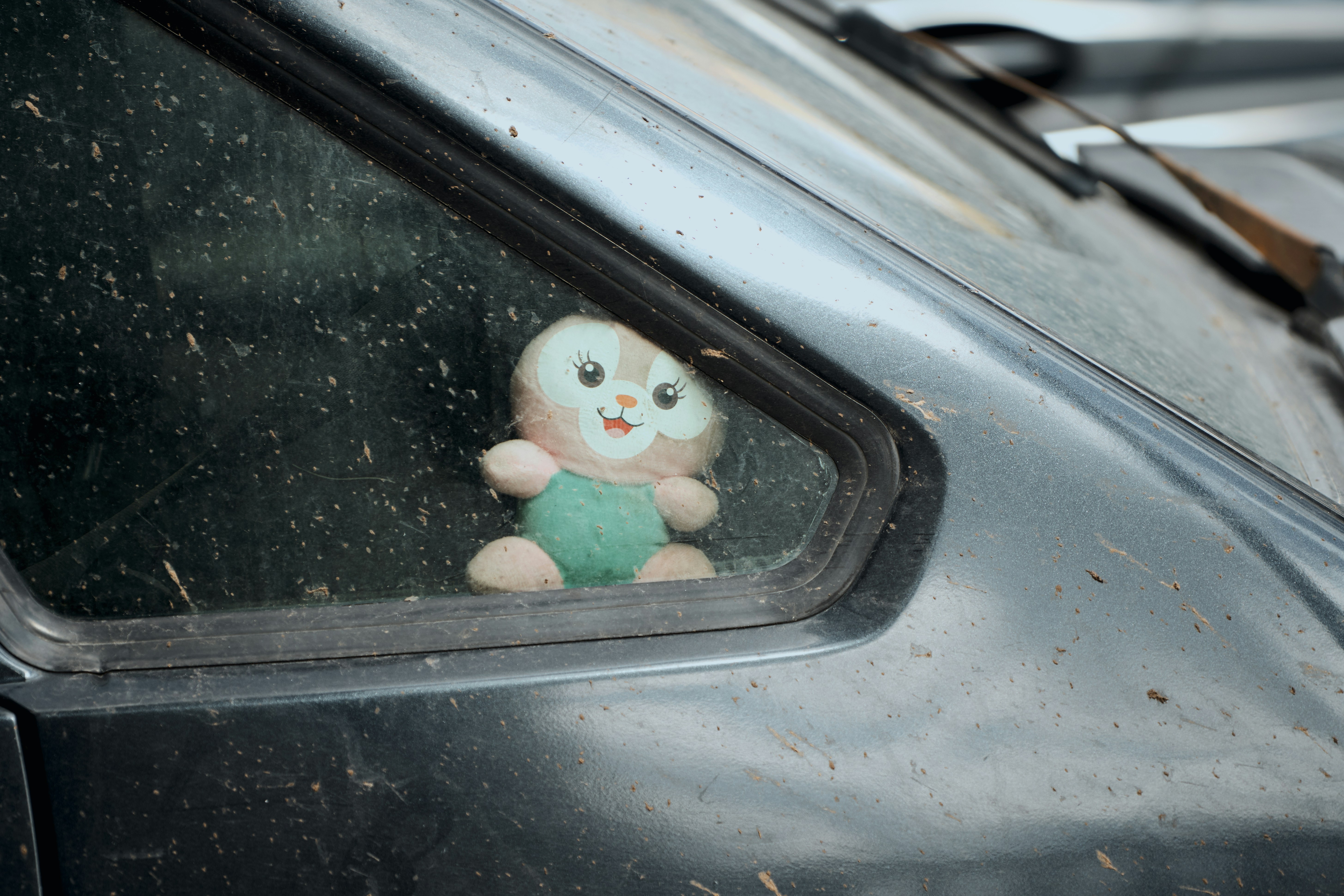 Window to a Plush Secret: The Toy in the Car Window