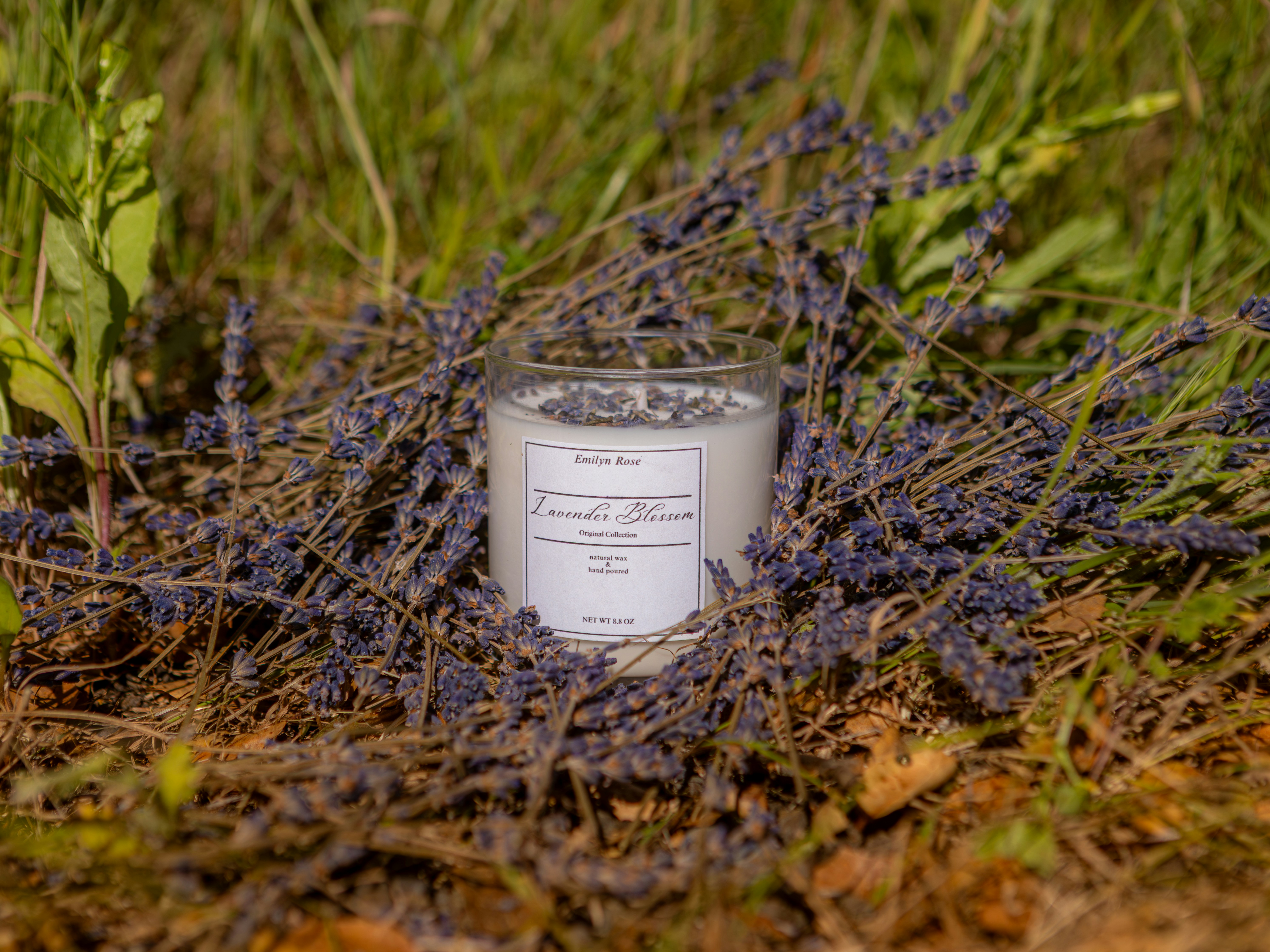 Lavender Glow: A Candle Quietly Emerges from Botanical Understory