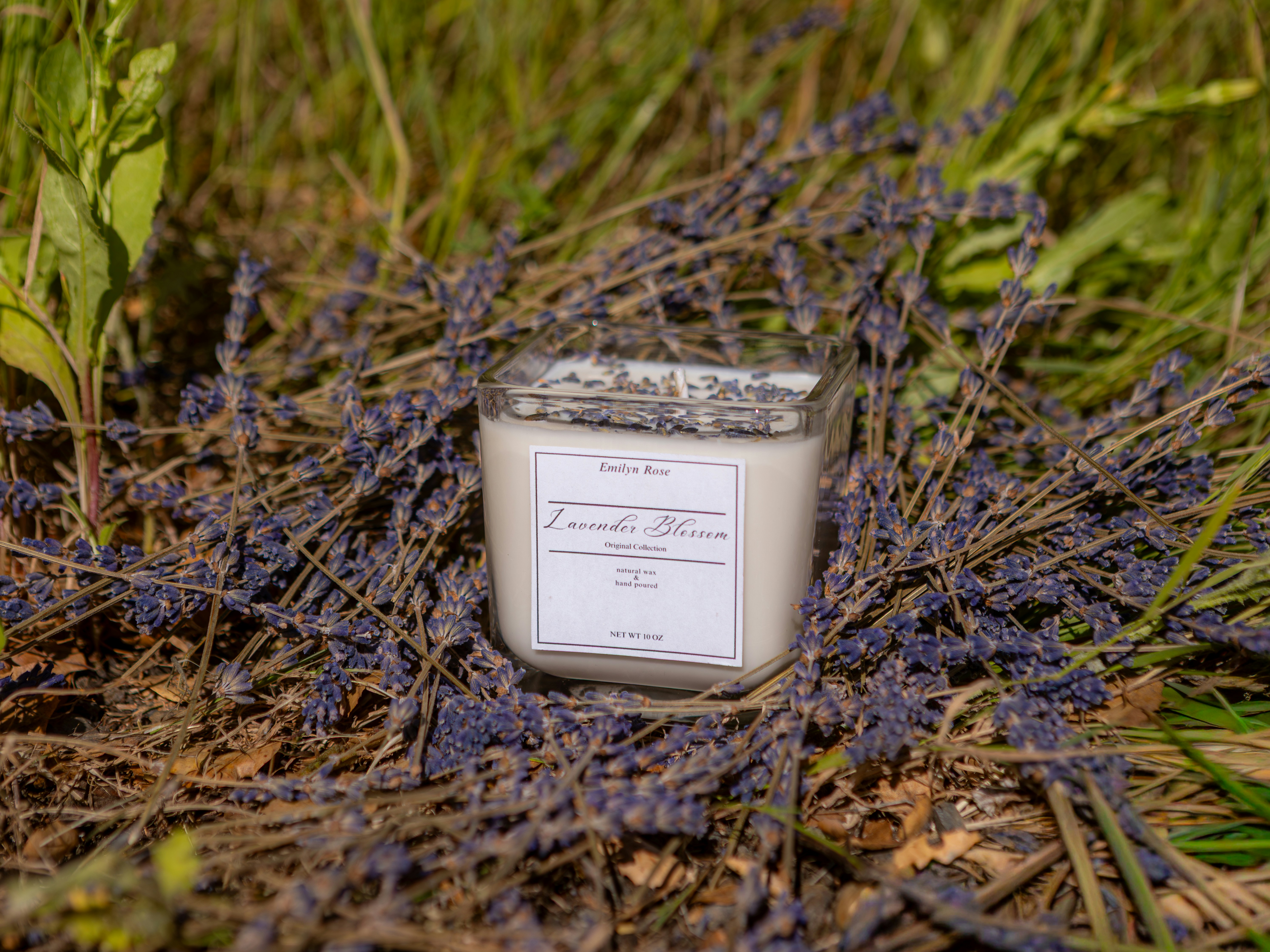 Lavender-Cilled Candle in a Field of Purple Blooms