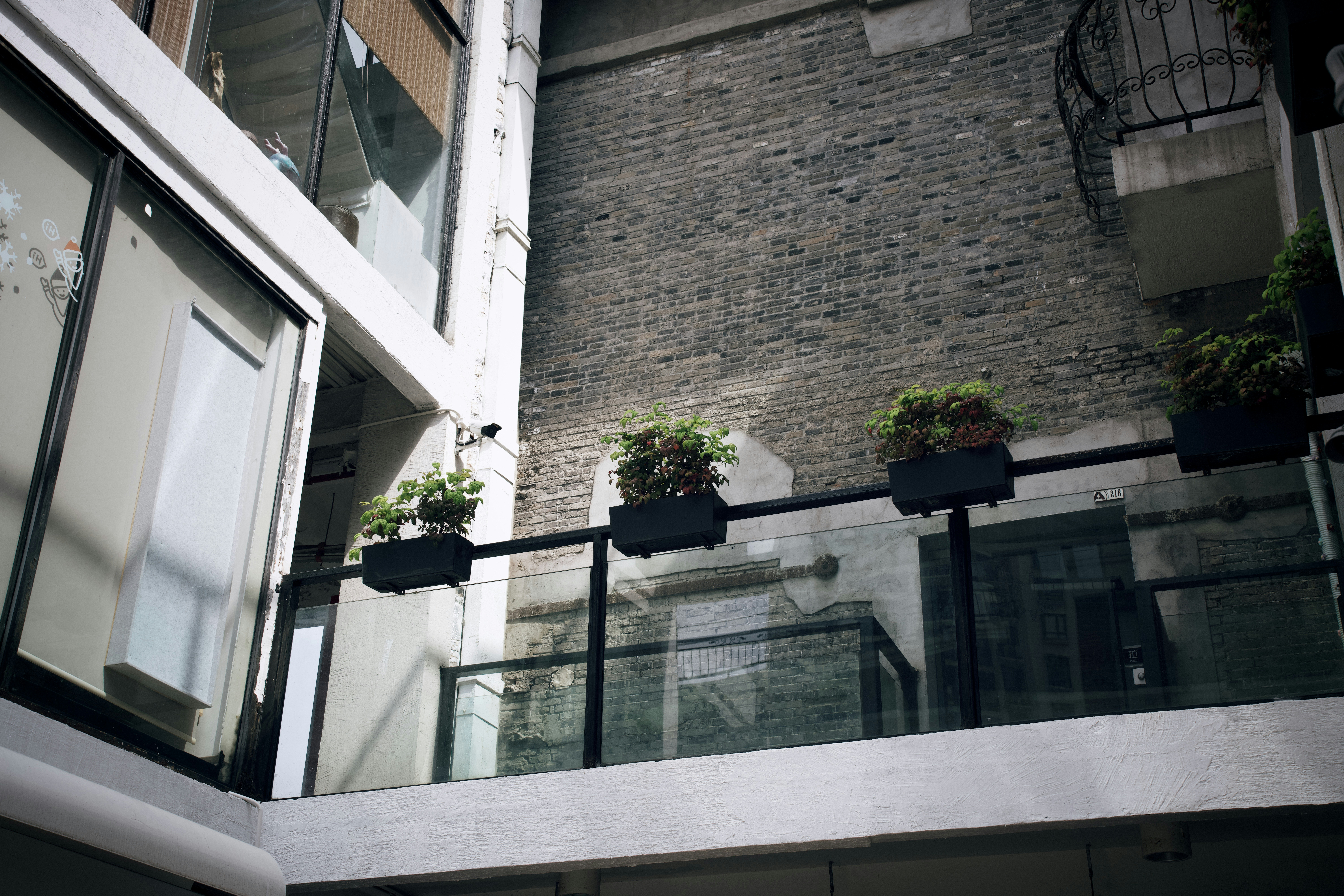 Urban Balcony Garden: Glass Railings and Potted Plants Against Brick Facade