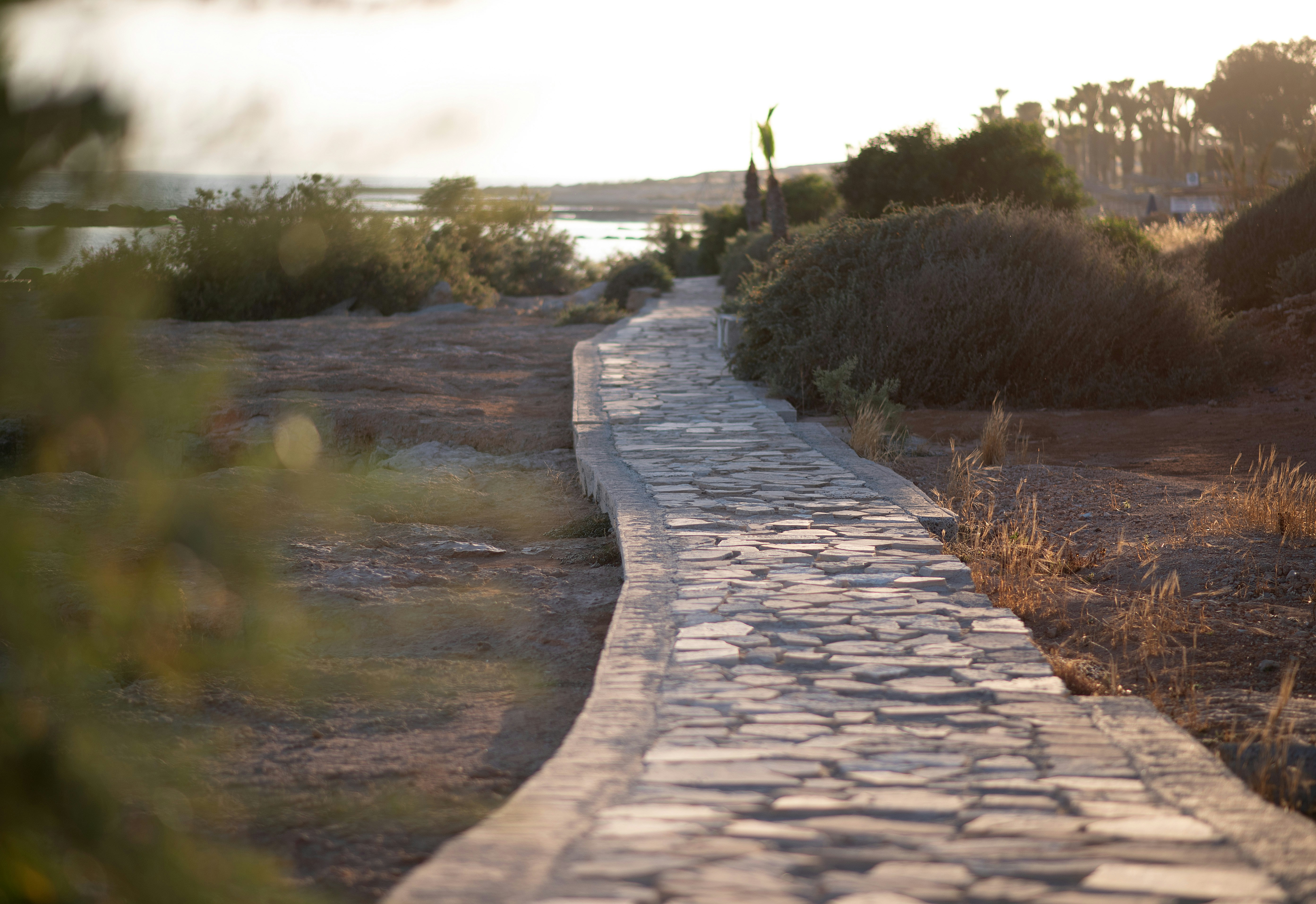 Desert Coastal Path: A Quiet Stone Walk Toward the Shore