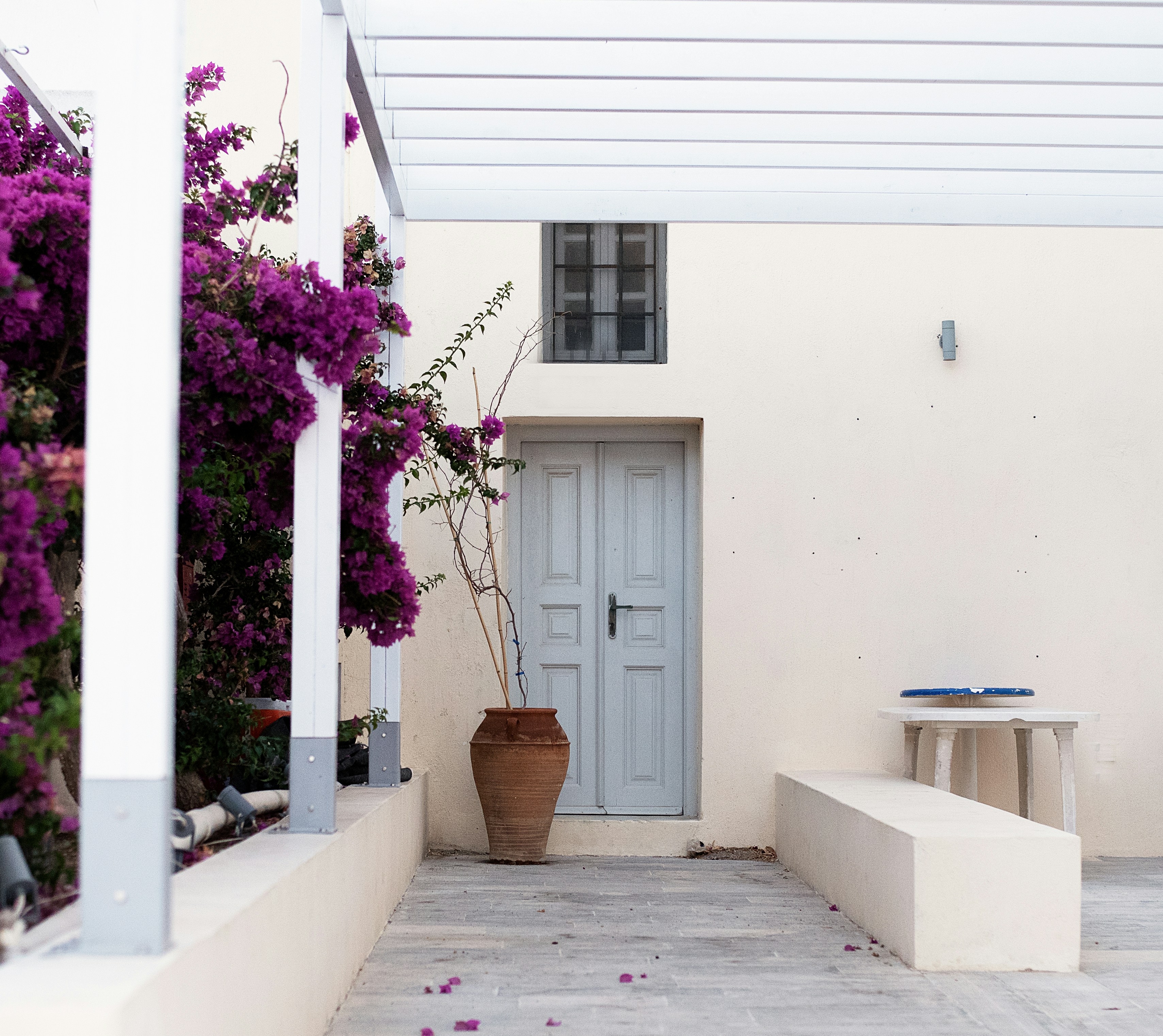 Courtyard doorway framed by magenta bougainvillea