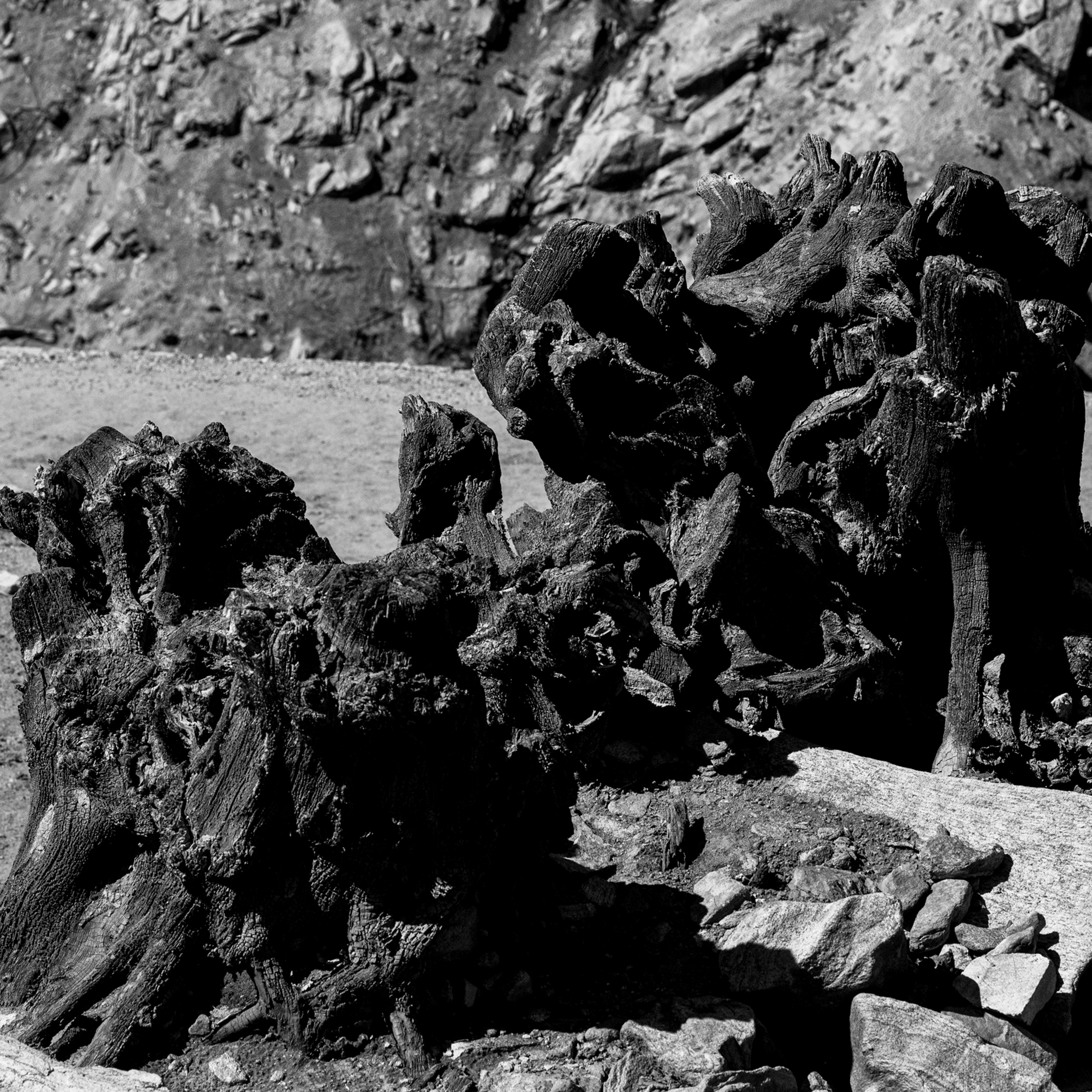 Charred Coastal Figures in Monochrome Reverie