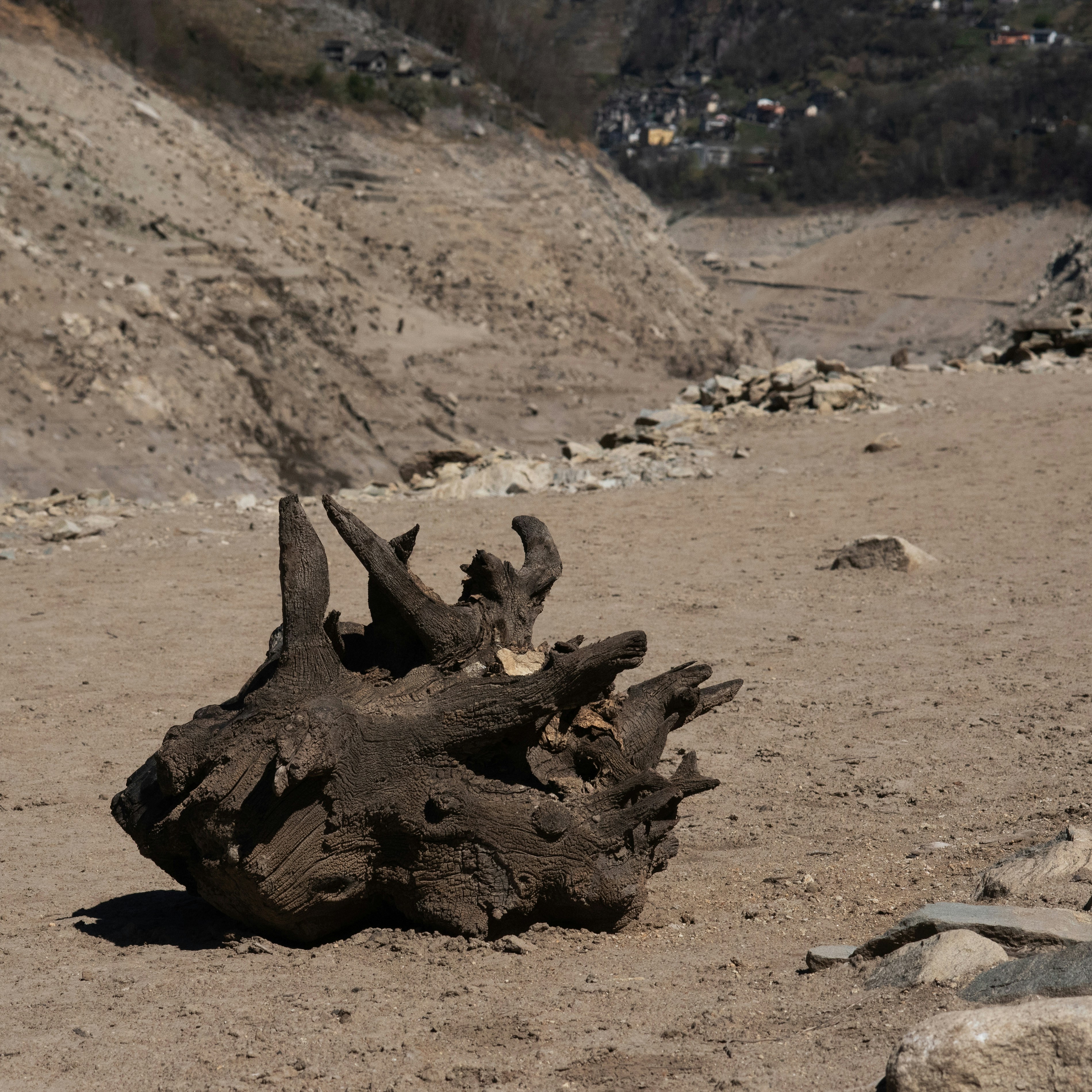 Sea-worn Drift Flux on a Quiet Shore