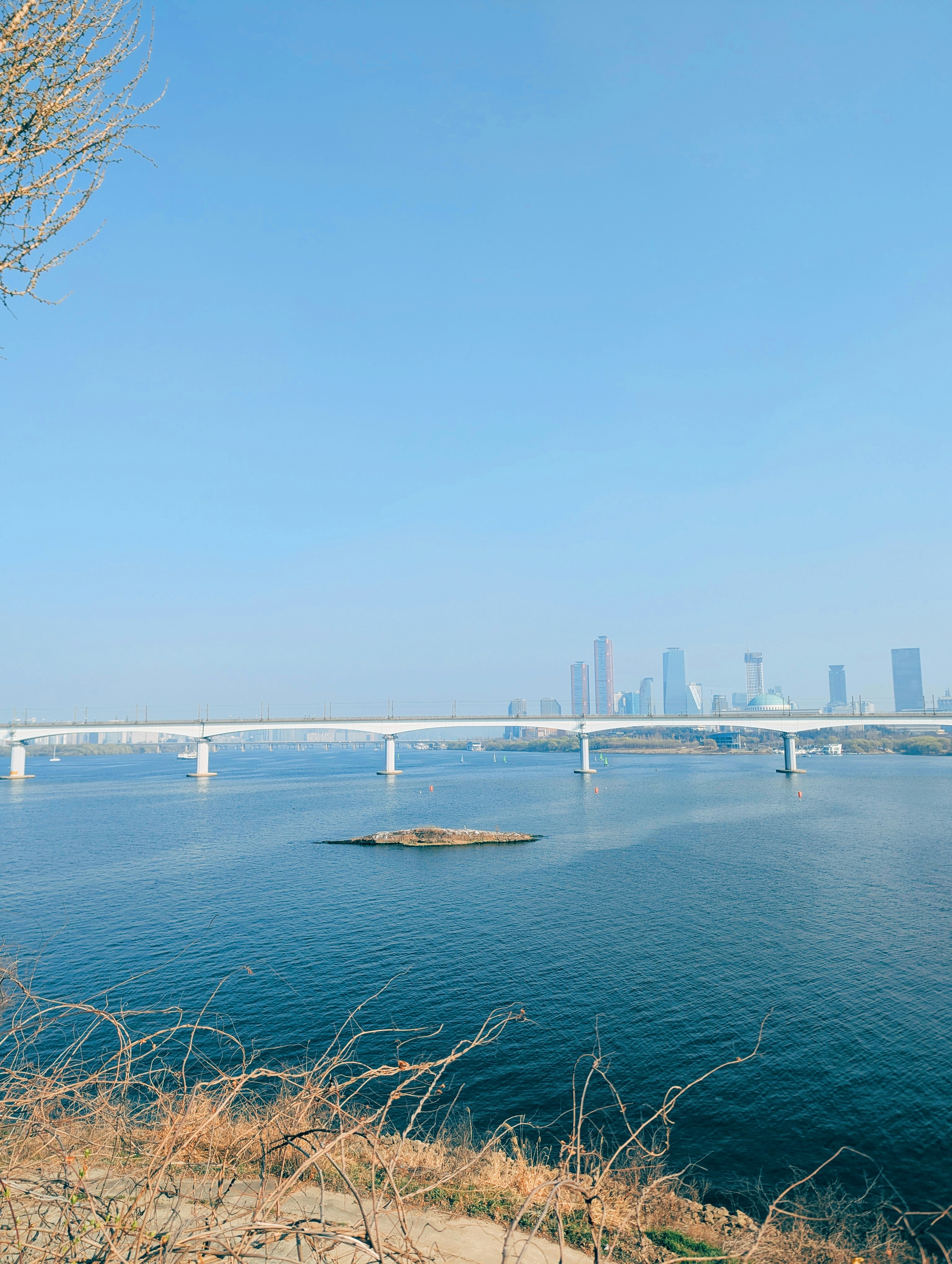 Dawn Over the Urban Span: A Quiet Riverfront View