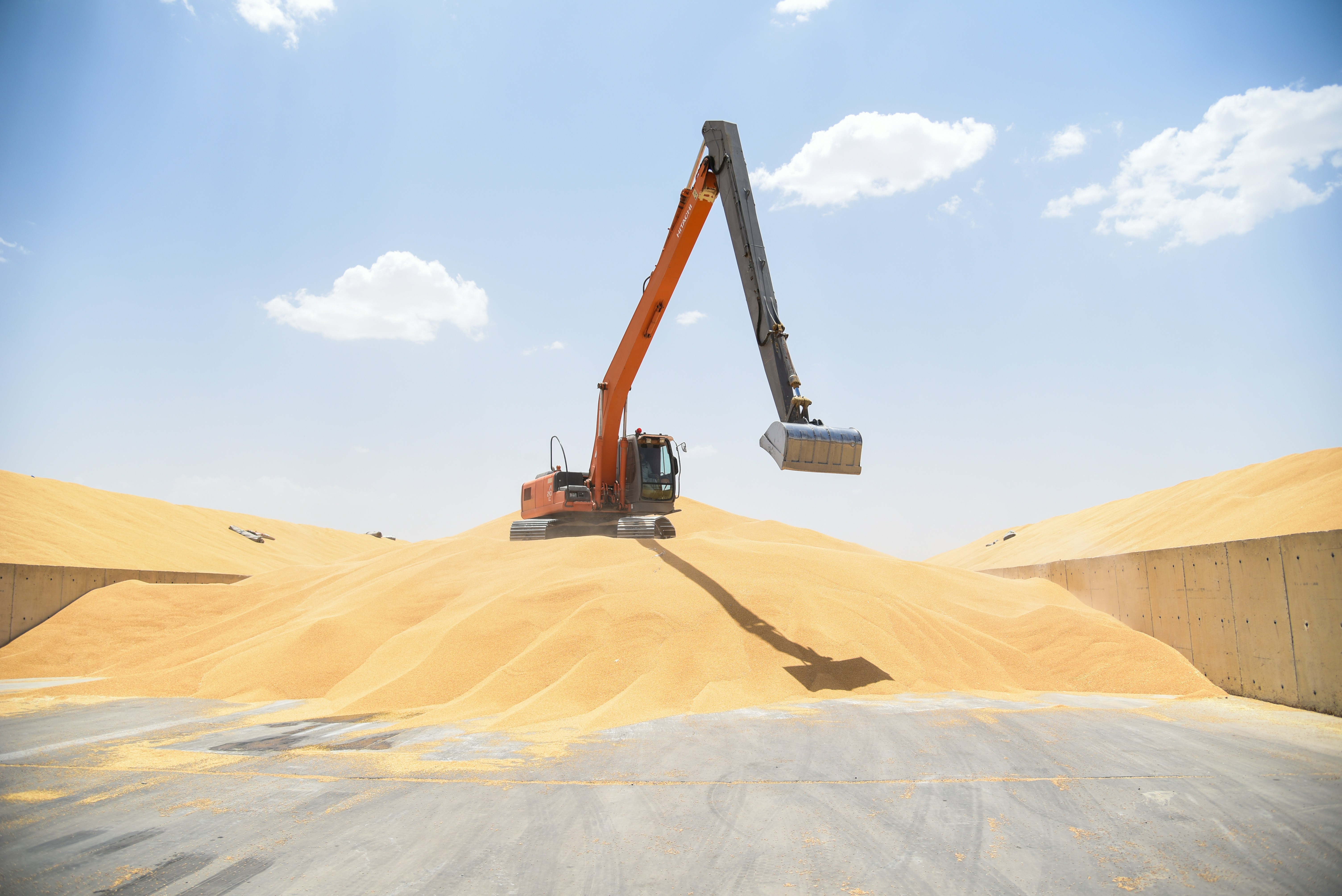 Crane of Sand: A Compact Dune Circus in Motion