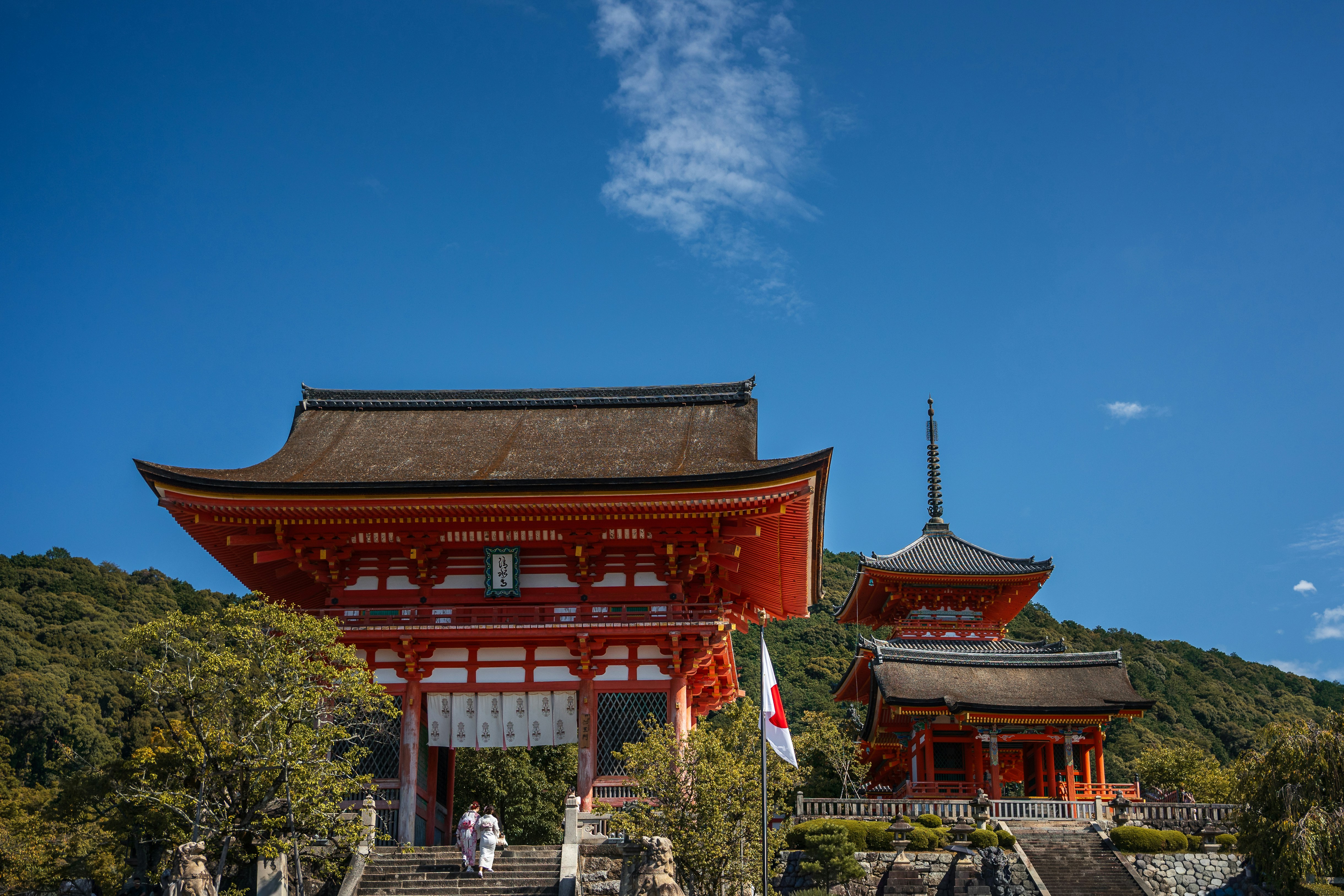 Gateway to Serenity: The Red Torii and Pagoda at Distant Hills