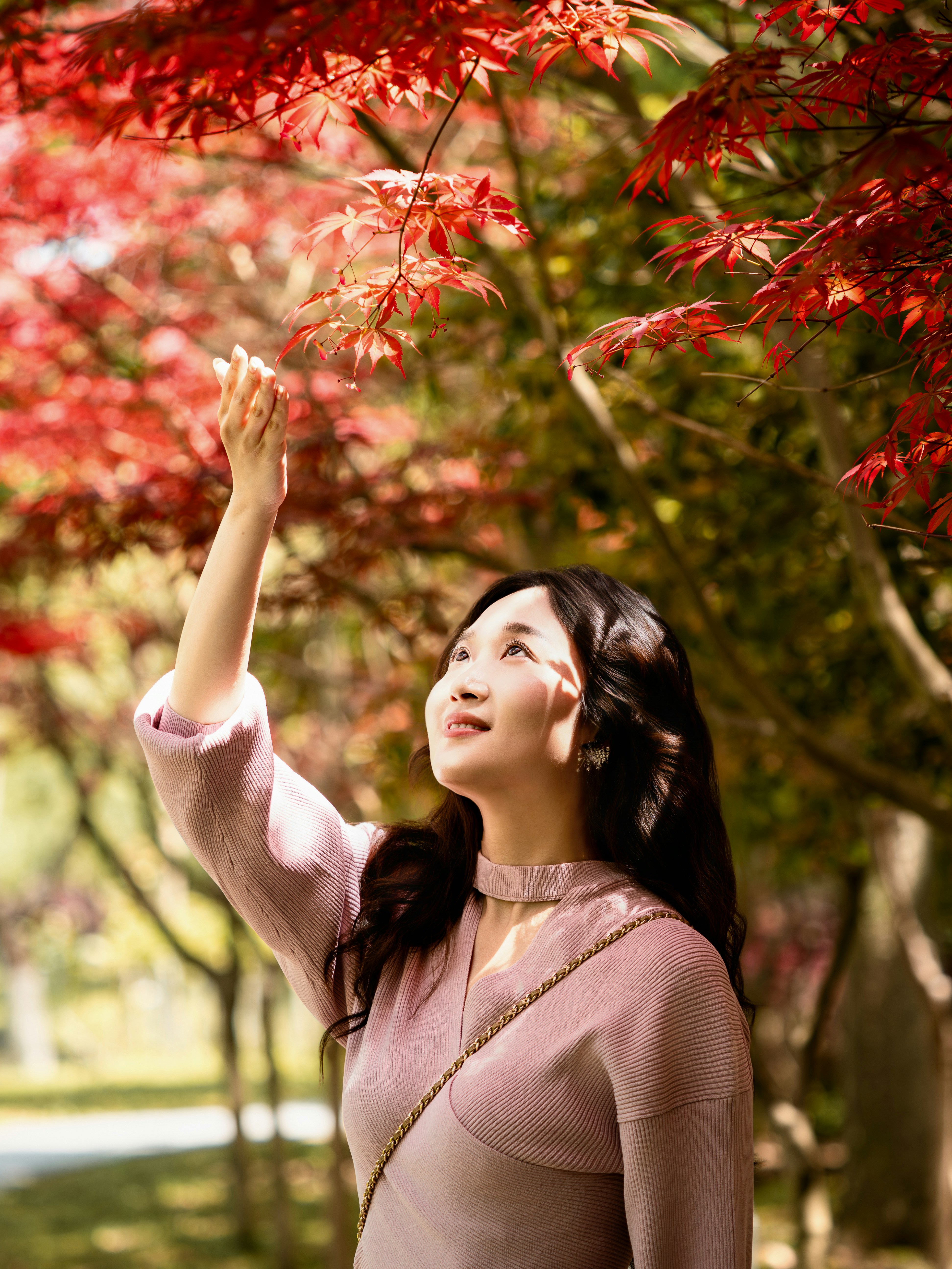 A Gentle Reach Under Crimson Canopy