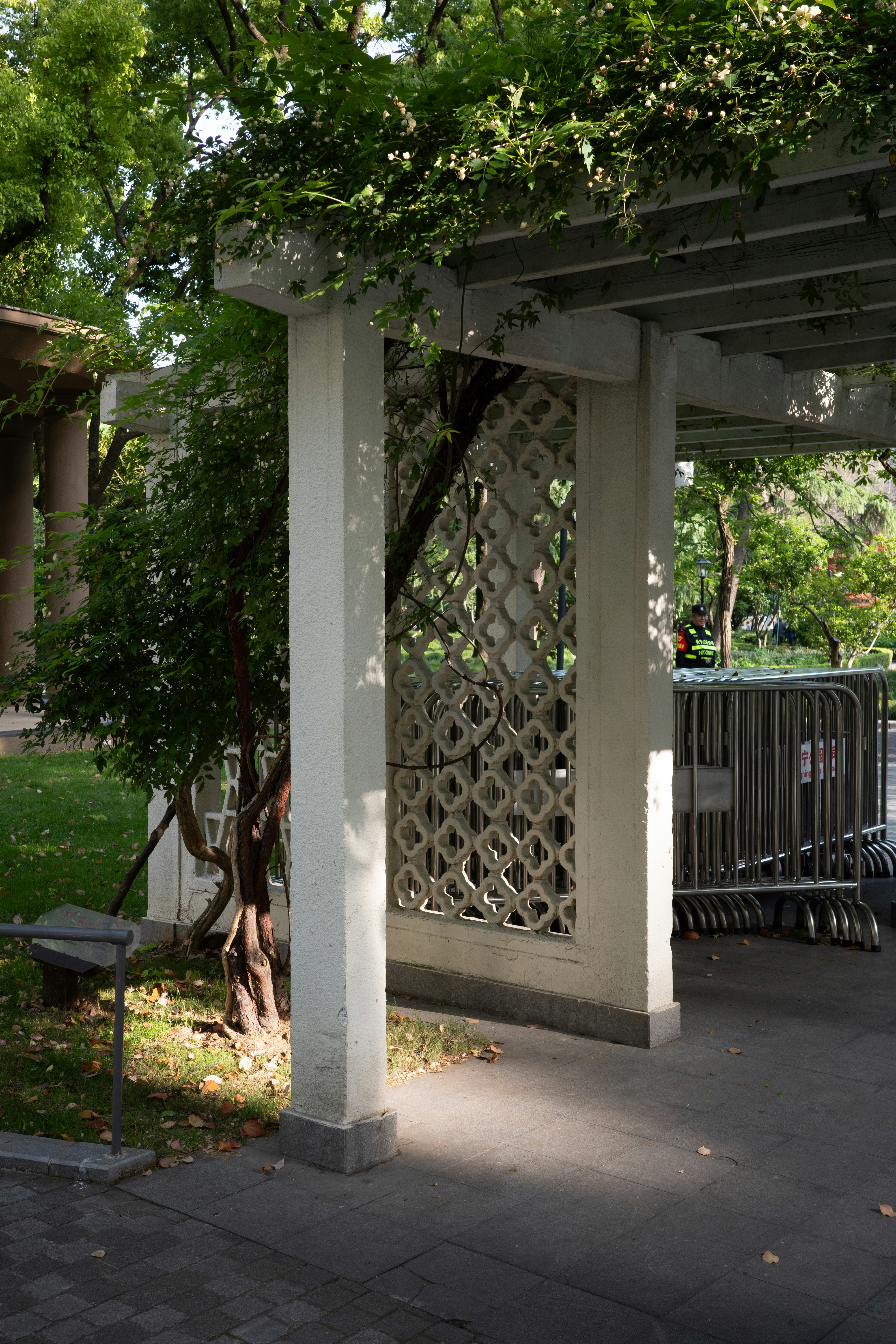 Light Filtering Through a Pergola: Geometry and Shadow Play