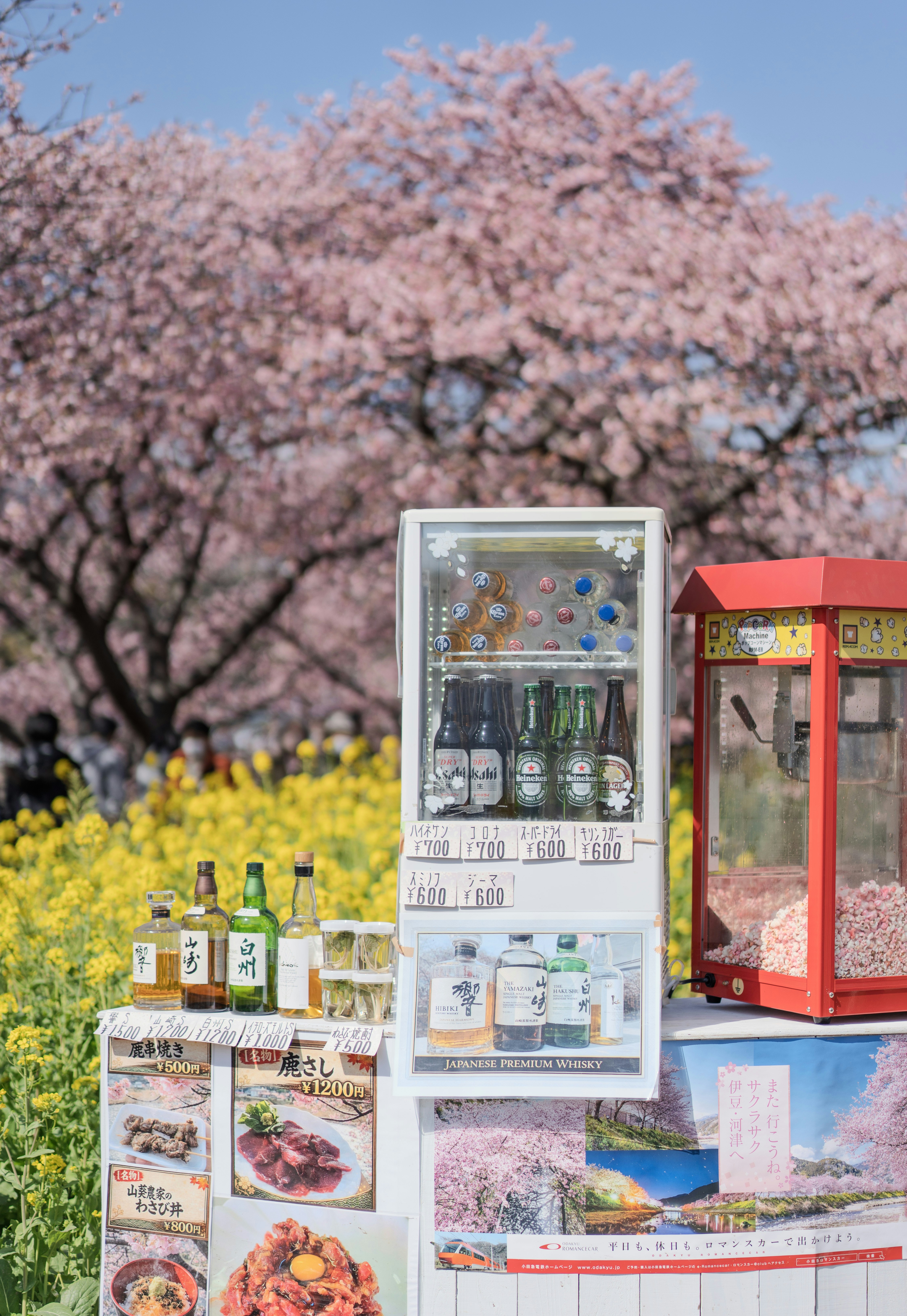 Cherry Blossom Backdrop Over a Street Vendor’s Glass Cabinet