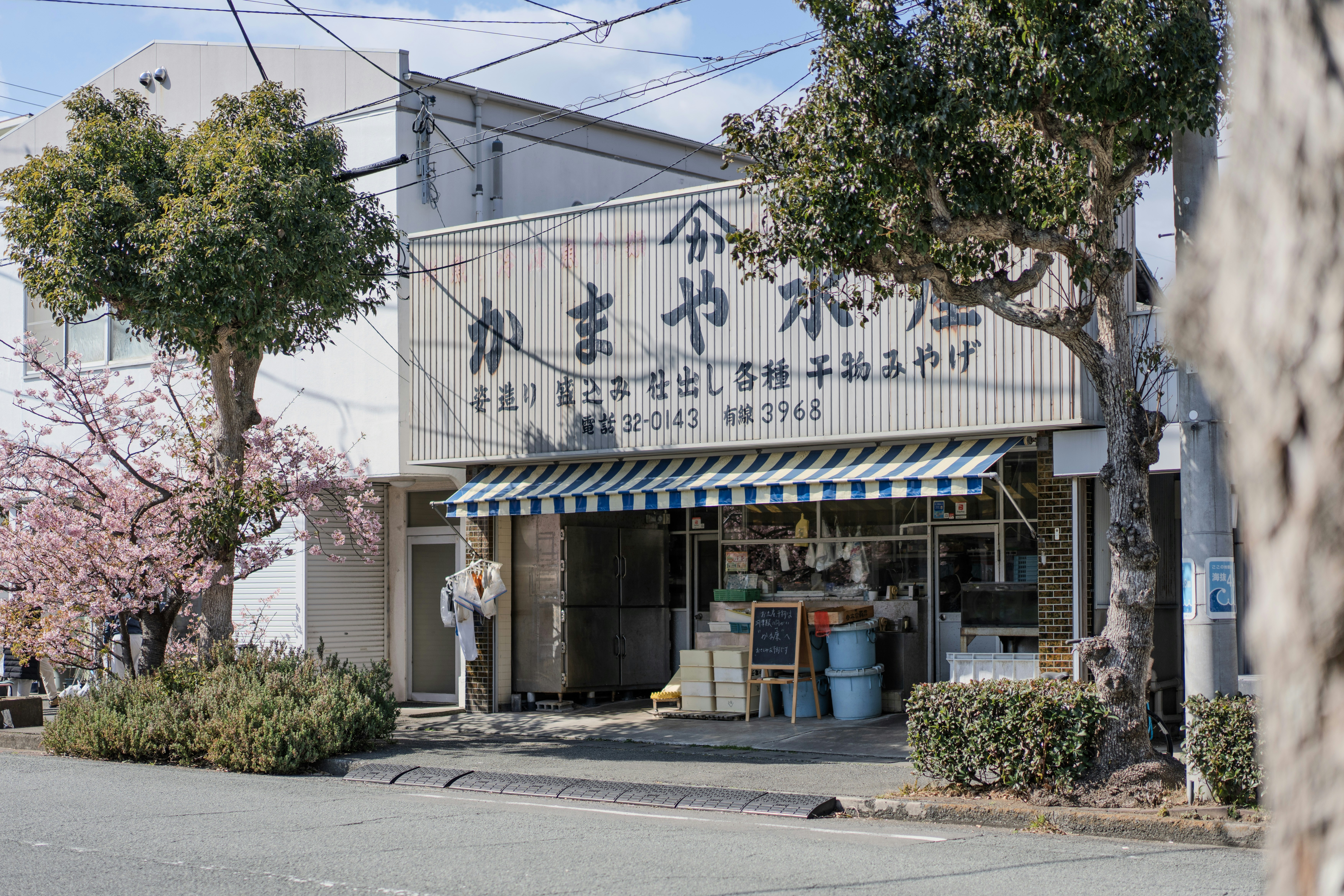 Old-Fashioned storefront with cherry blossoms and striped awning