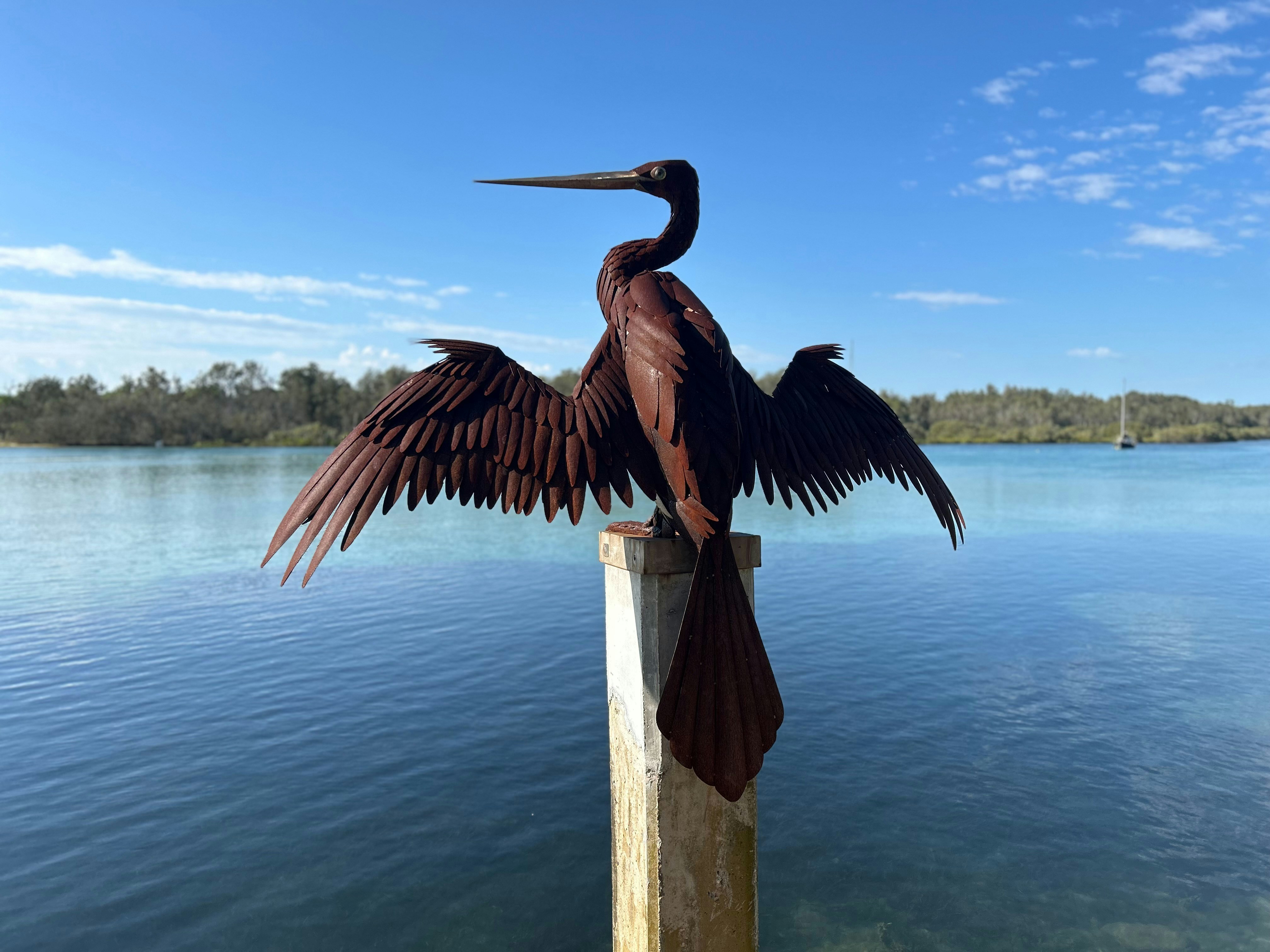 Perched Majesty: A Brown Pelican Spreads Its Wings Over Quiet Waters