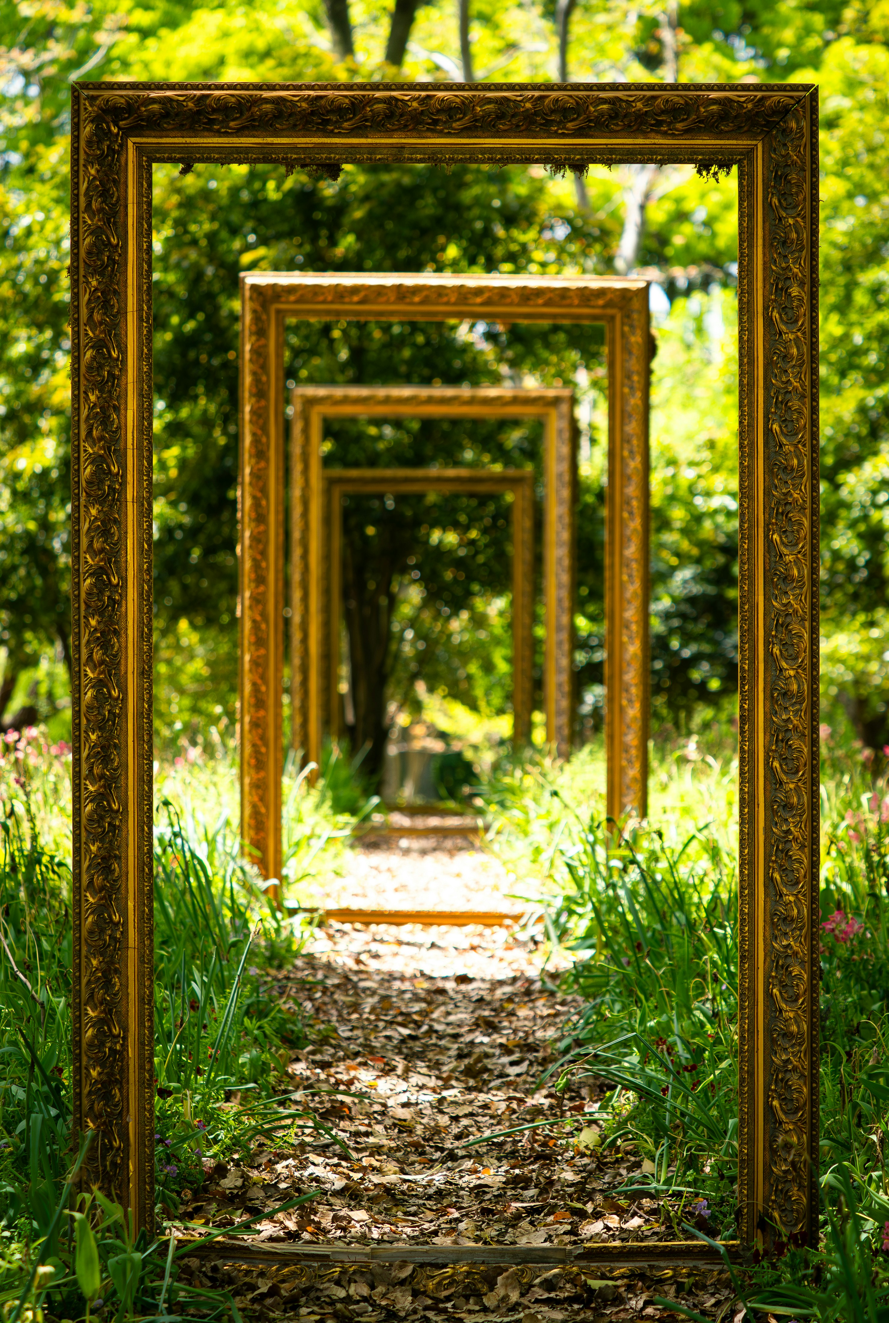 Golden Frames Corridor: A Garden Gateway Repeats