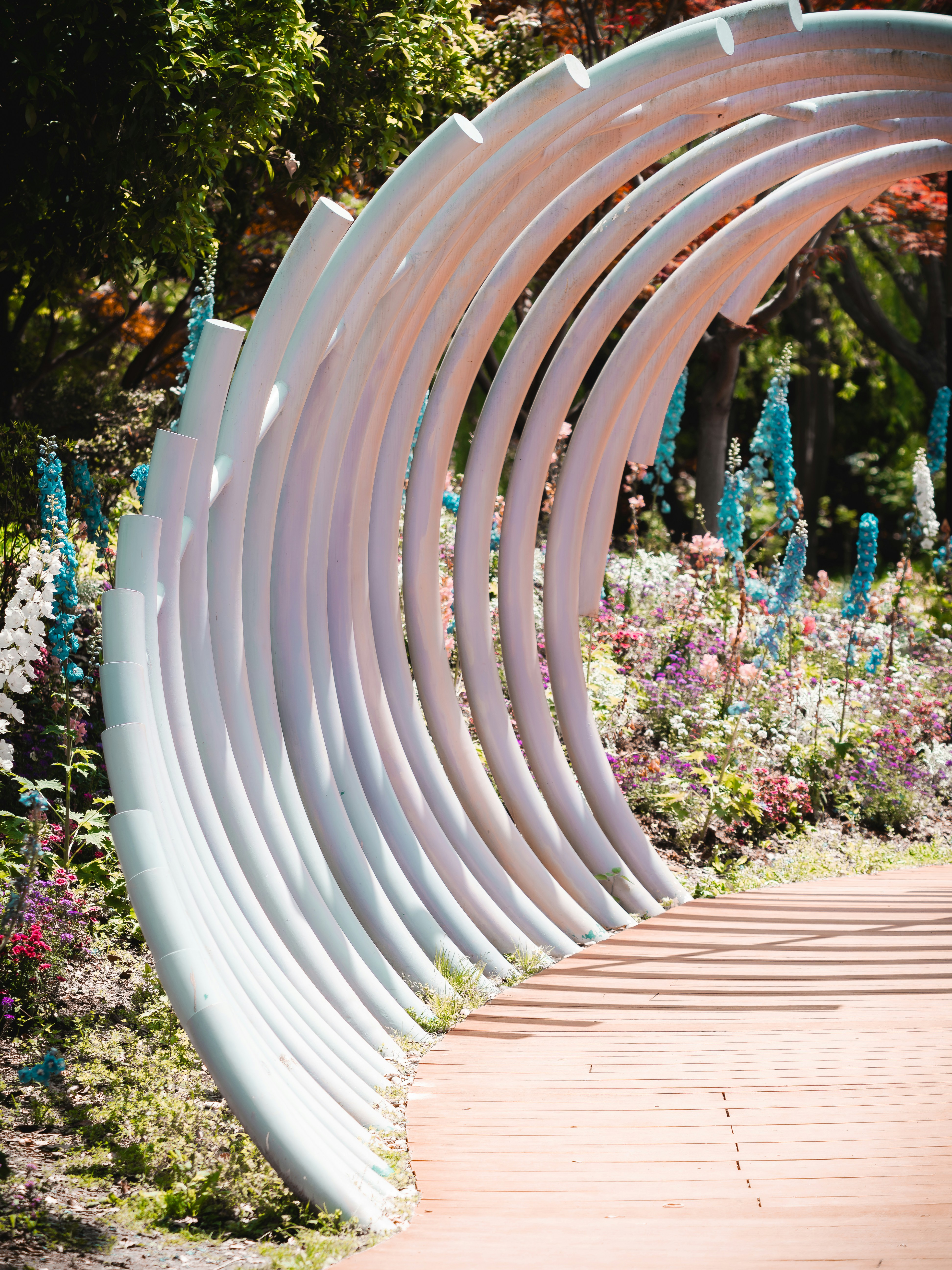 Circular Garden Arc: Painted Tubes Form a Colorful Corridor