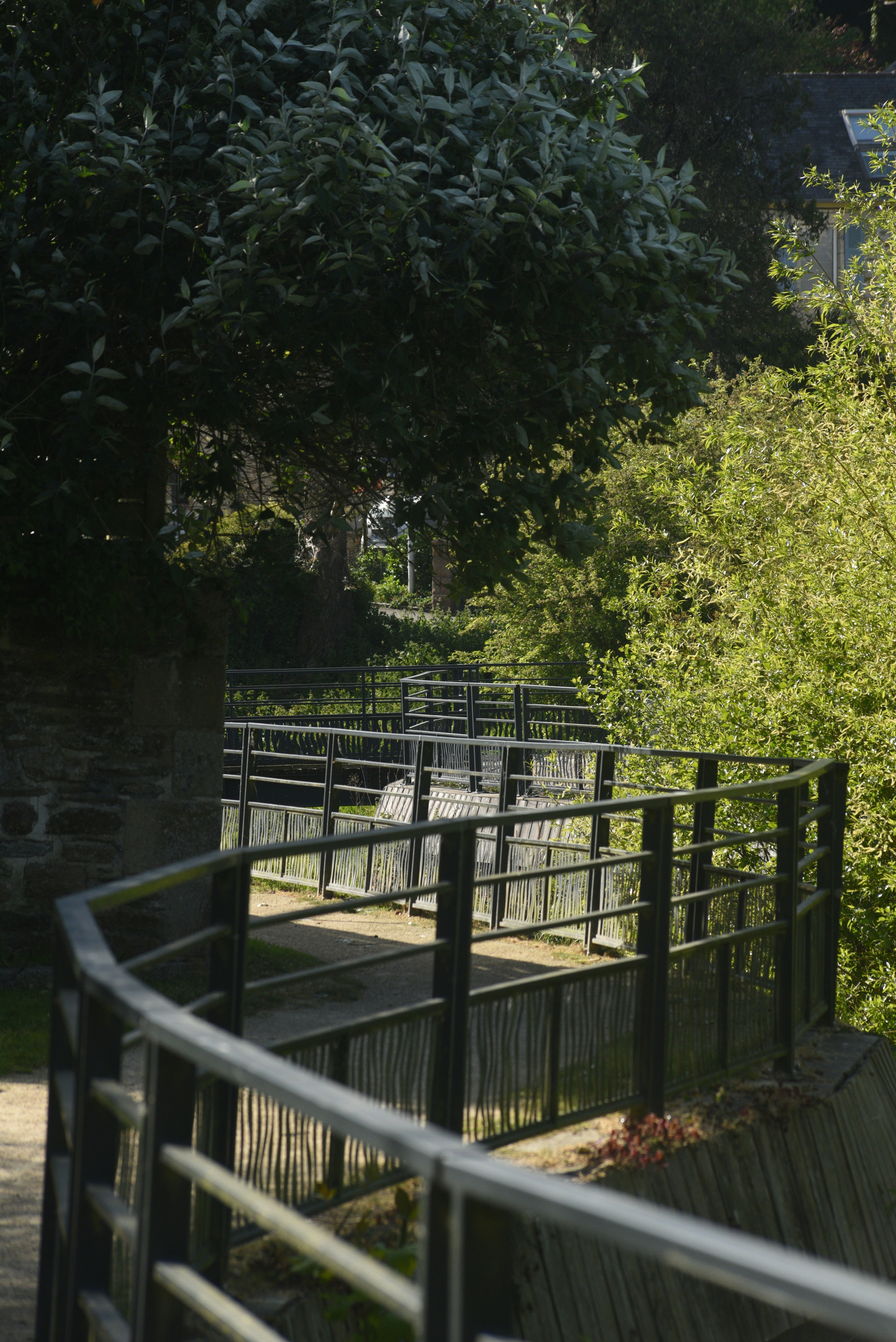 Sunlit Path Along the Riverside Railings