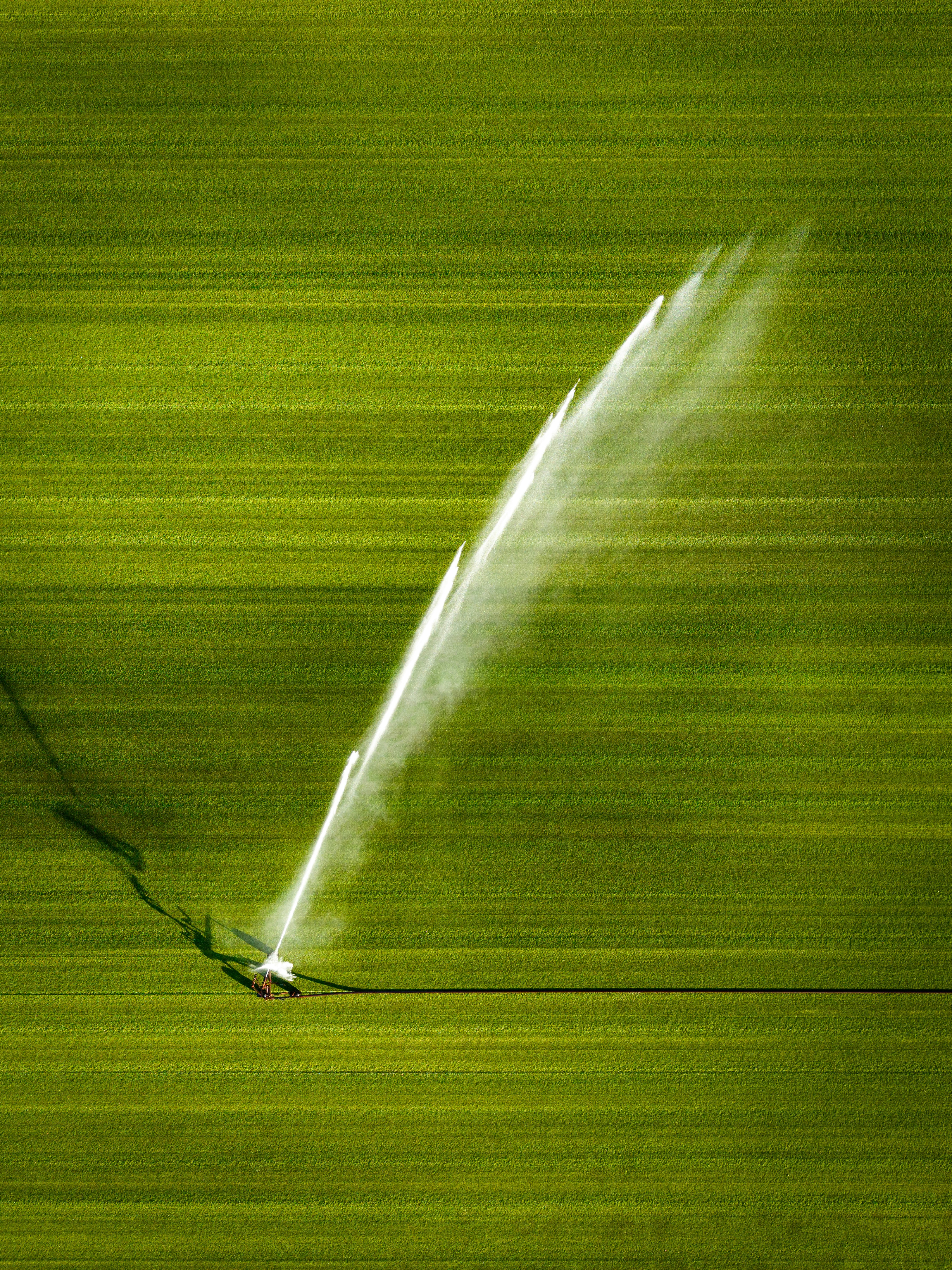 Unleashed Green Arc: A Kite-Like Spray across a Field