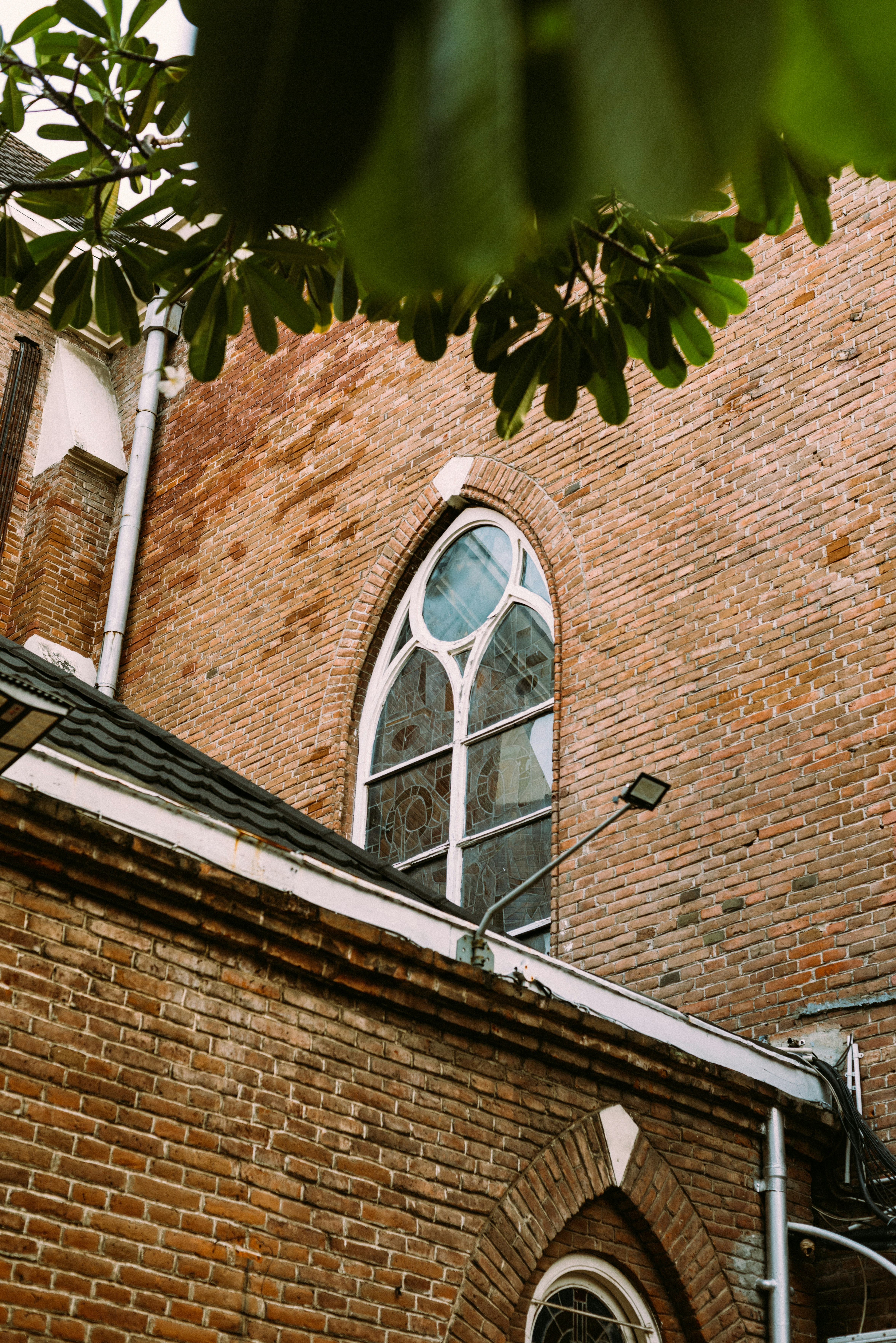 Brick Arch Cathedral: Sunlit Window and Overhanging Foliage